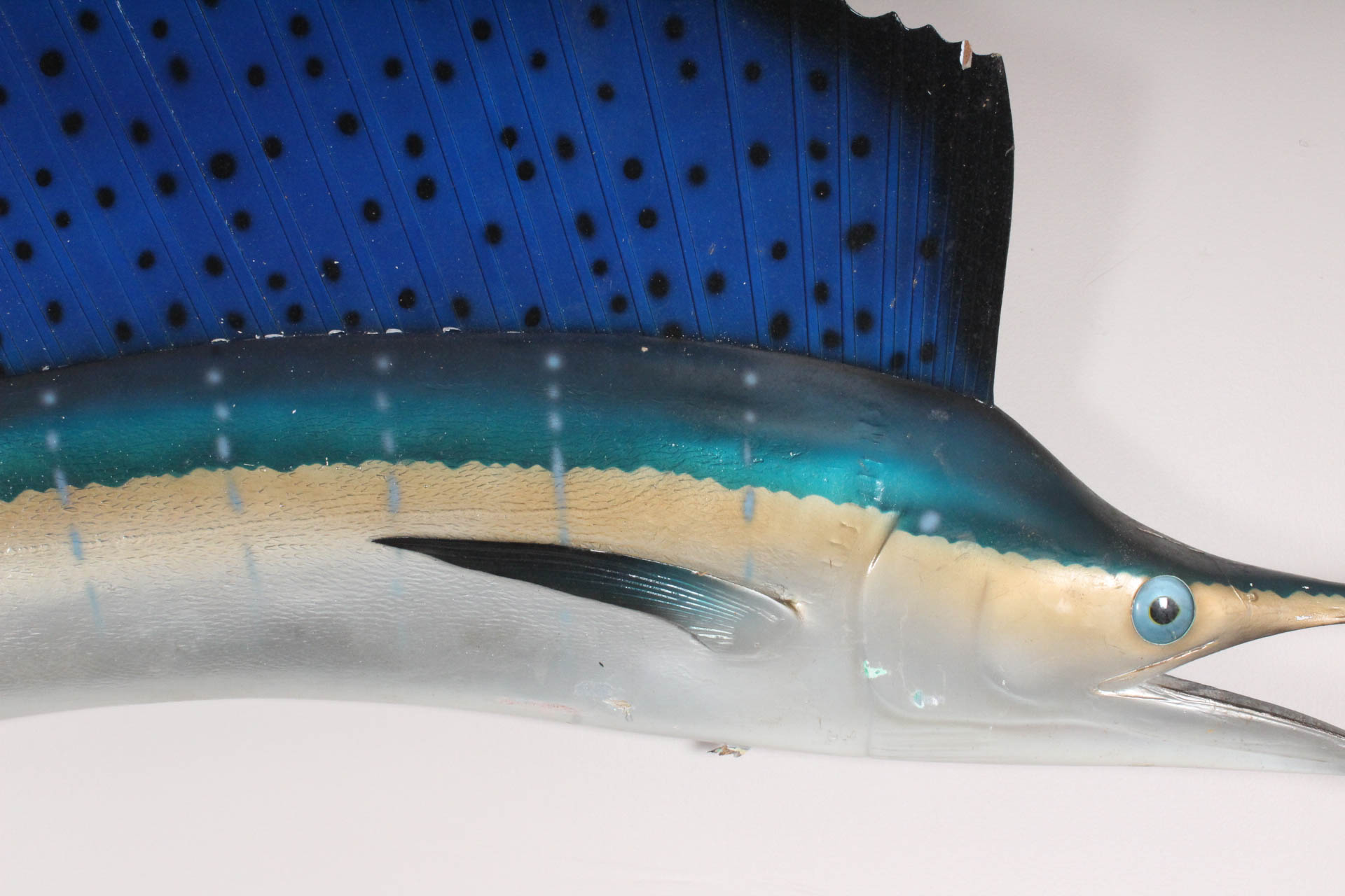 Sailfish Trophy Wall Mounted Fish Replica | EBTH