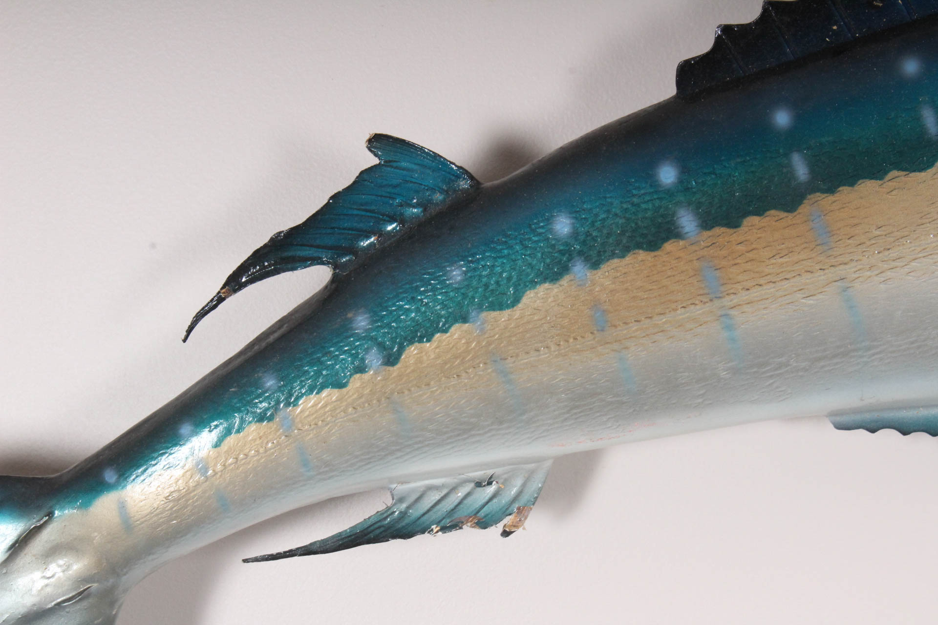 Sailfish Trophy Wall Mounted Fish Replica | EBTH