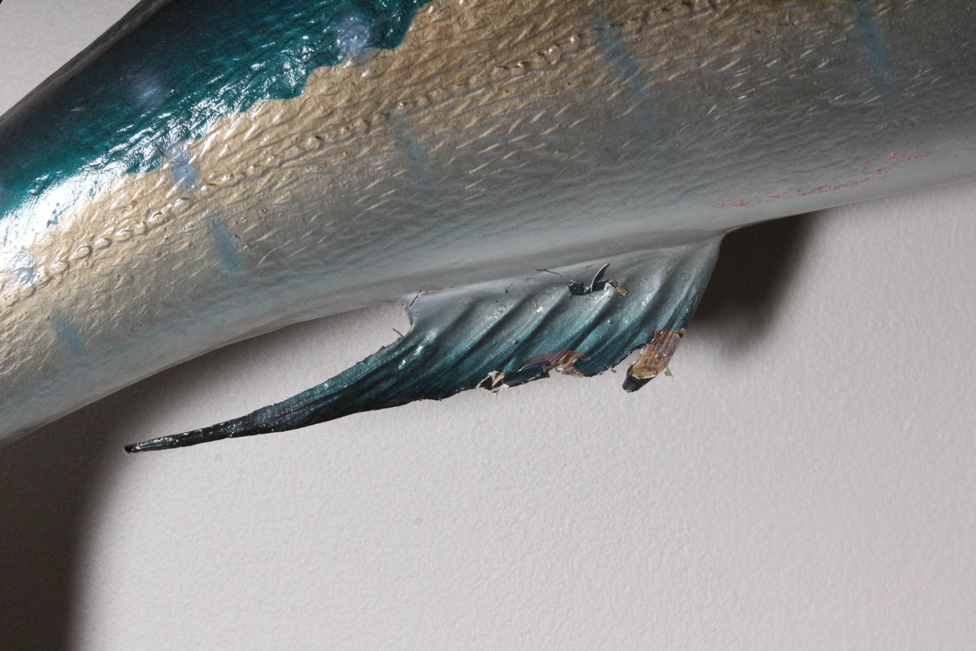 Sailfish Trophy Wall Mounted Fish Replica | EBTH