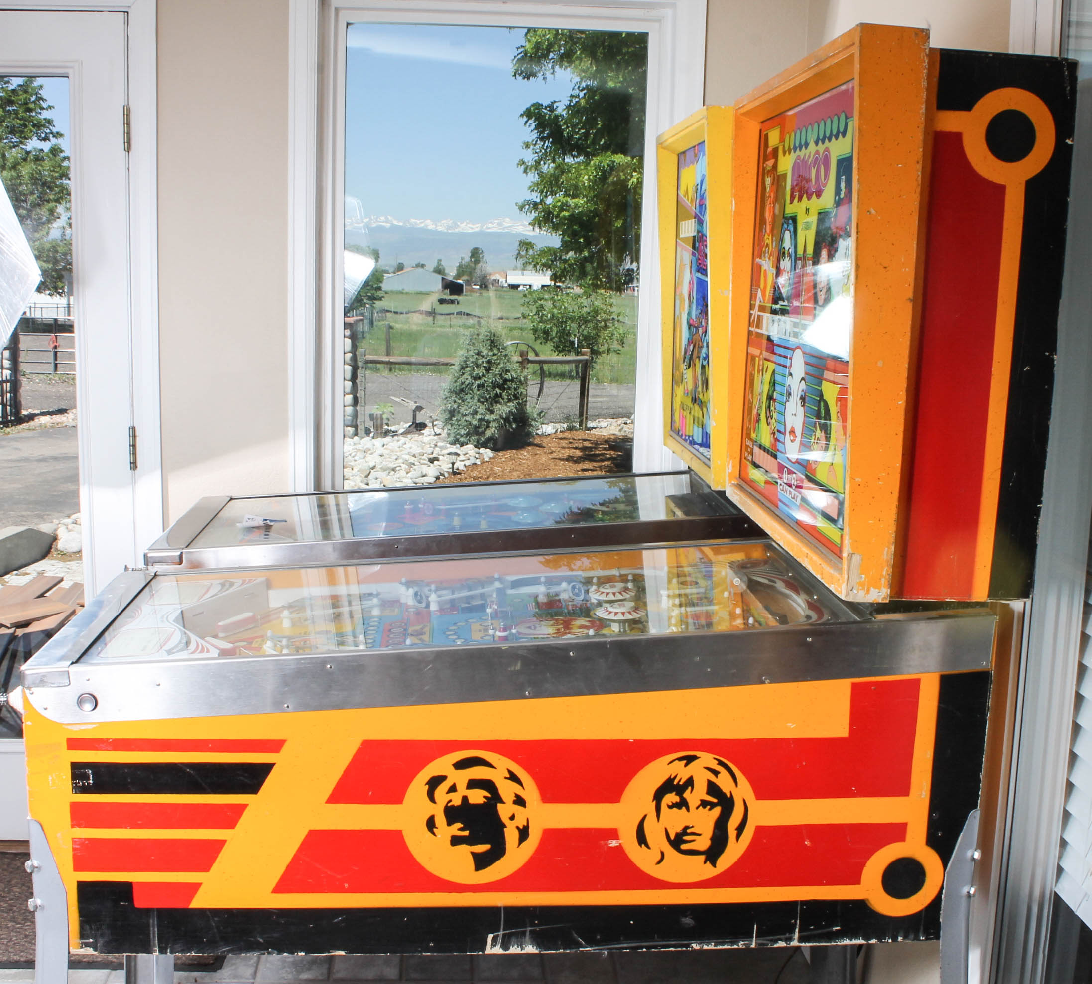 1977 Stern "Disco" Pinball Machine | EBTH