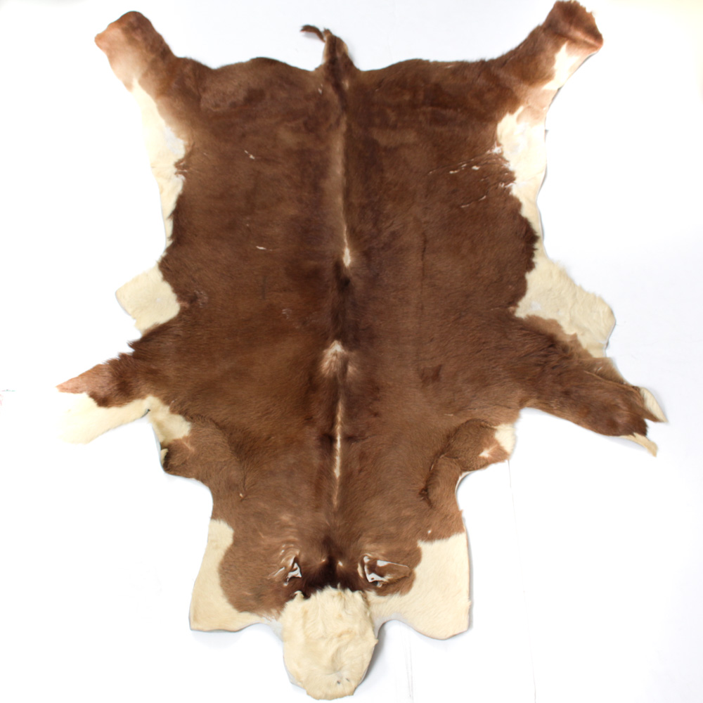 Steer Hide Rug | EBTH