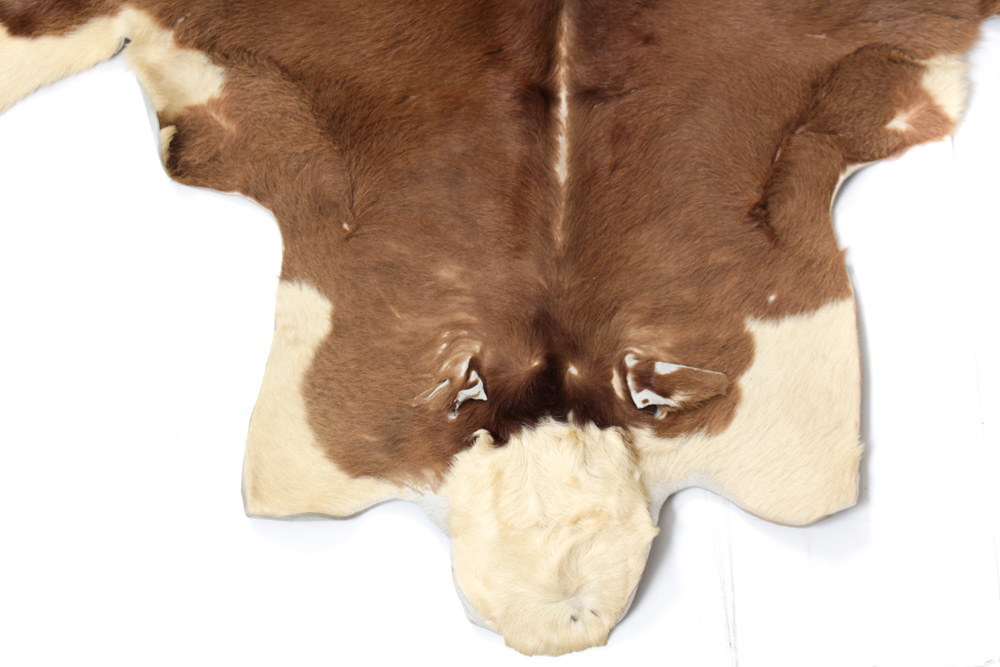Steer Hide Rug | EBTH