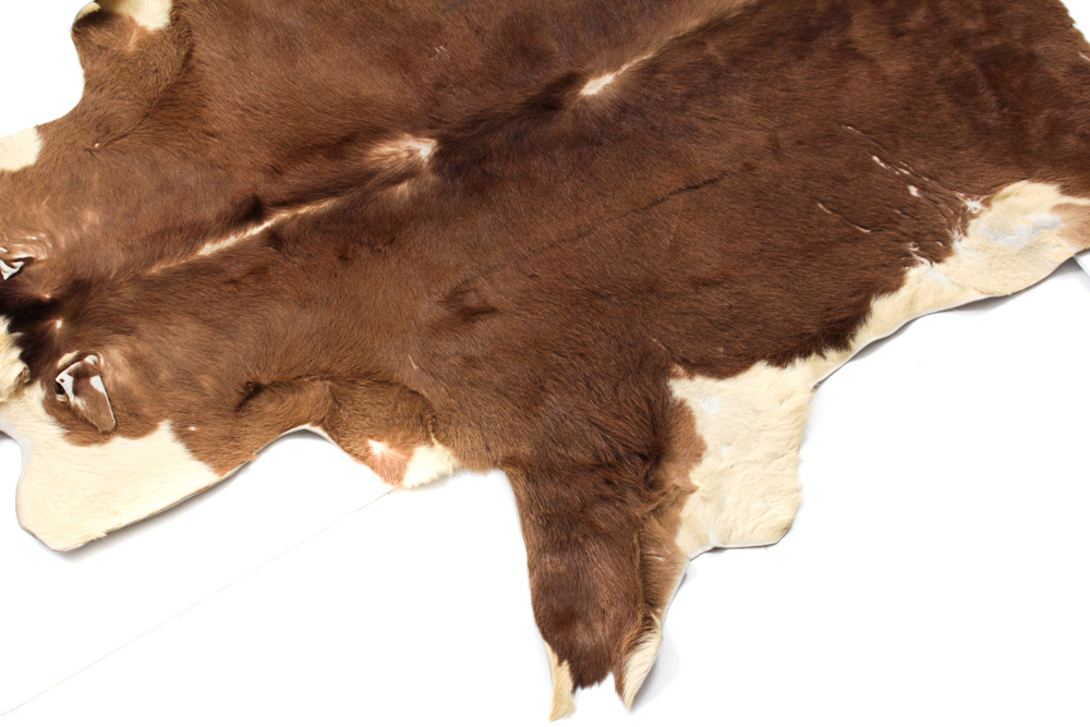 Steer Hide Rug | EBTH