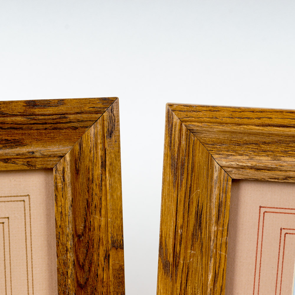 Roger Flythe Offset Lithographs of Birds | EBTH