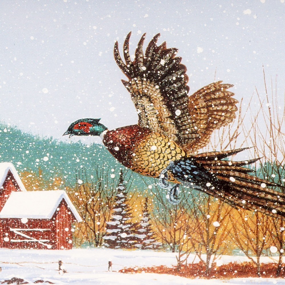 Roger Flythe Offset Lithographs of Birds | EBTH