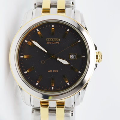 Citizen Eco-Drive WR 100 Men's Wristwatch | EBTH