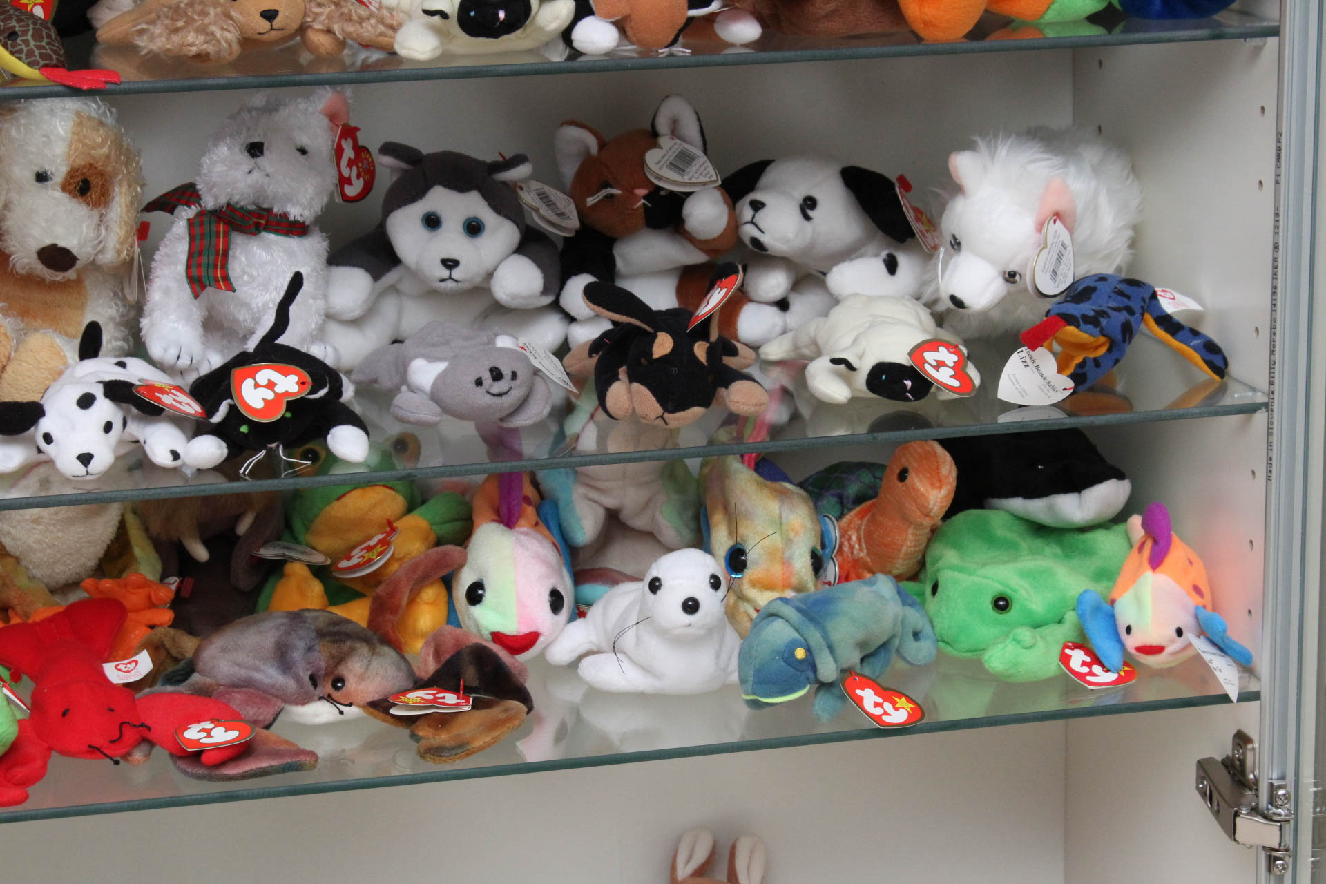 Ty Beanie Baby Collection | EBTH