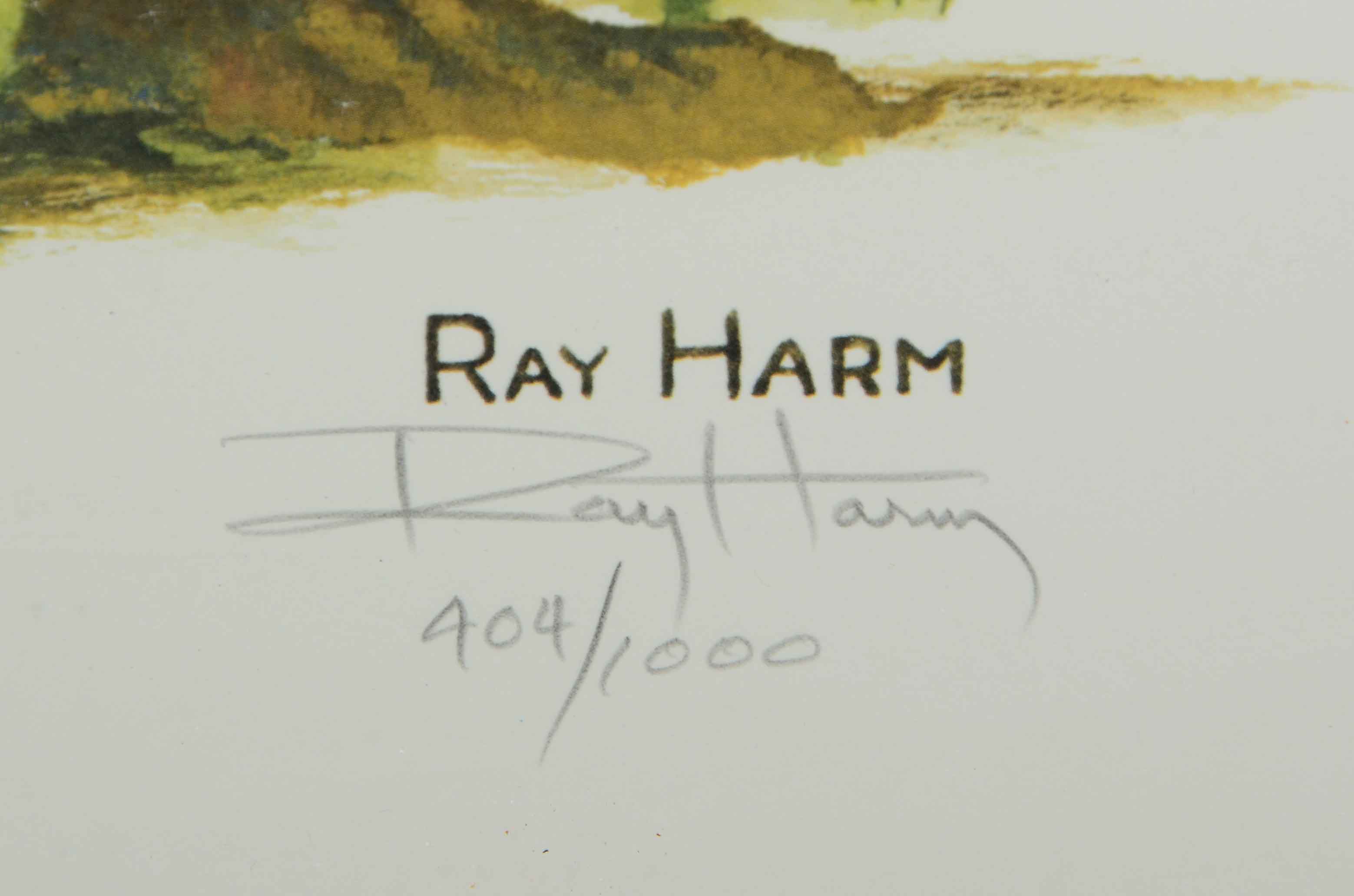 Ray Harm, Signed Lithograph, Wild Canary | EBTH