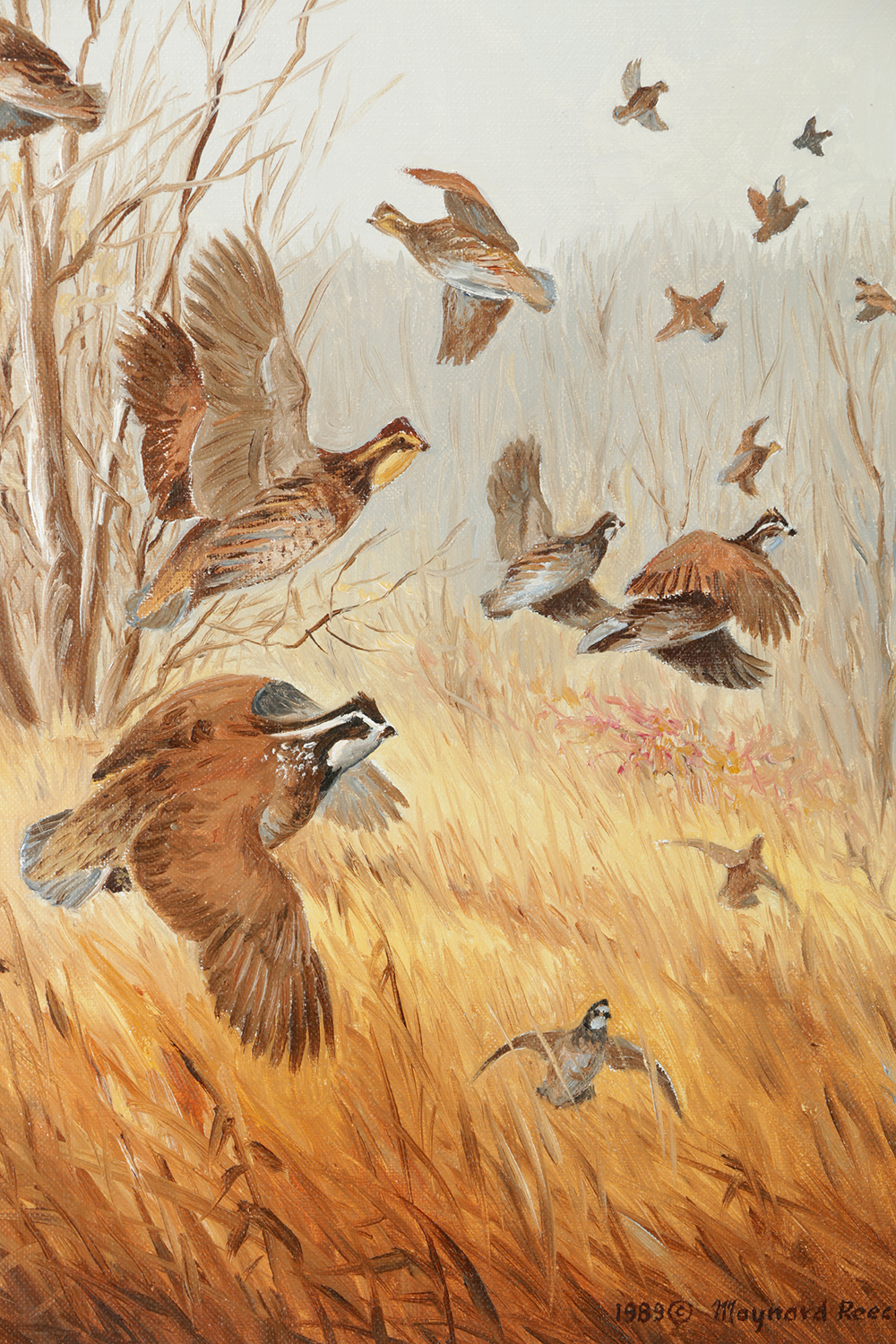 Maynard Reece Oil Painting on Canvas "Bobwhite Quail" | EBTH