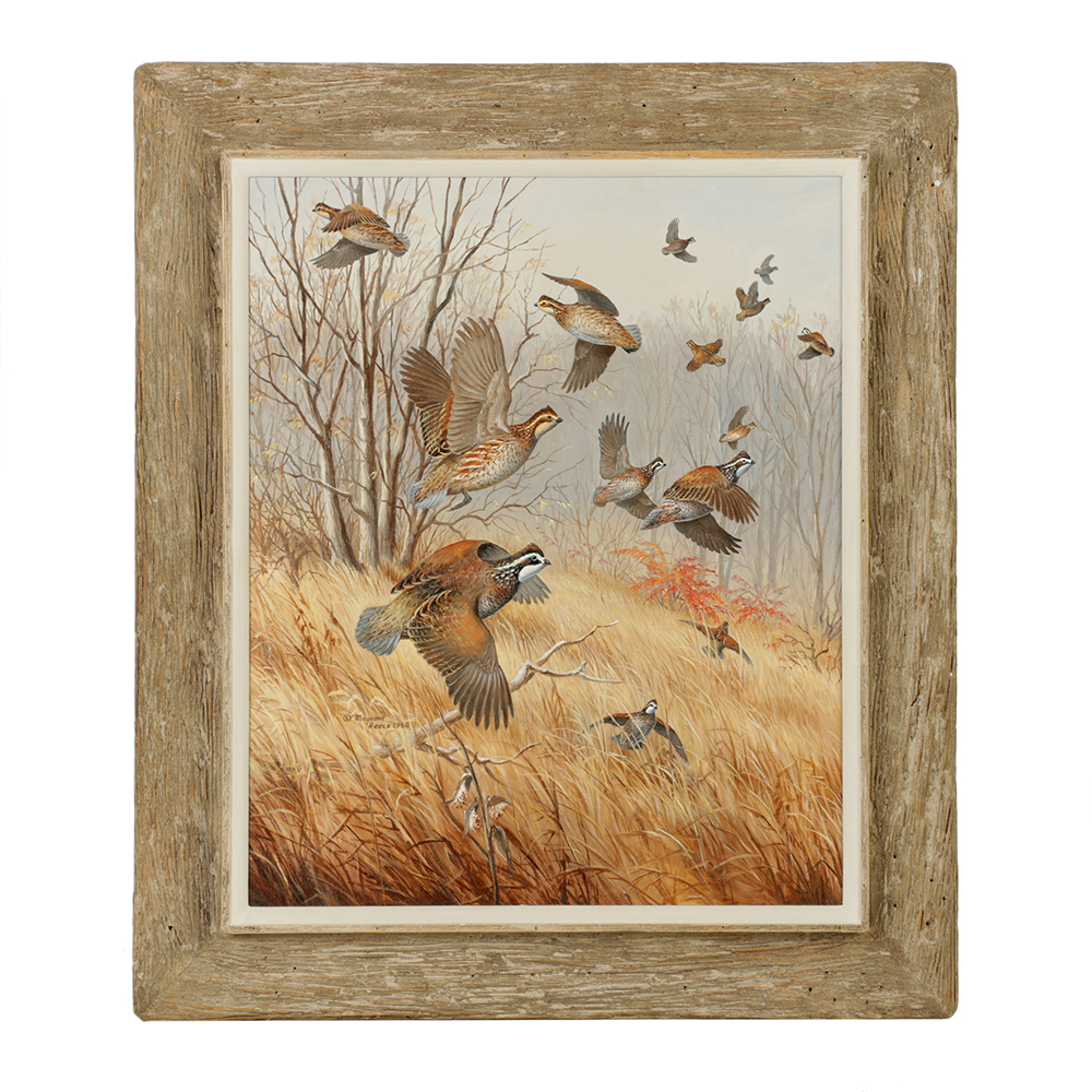 Maynard Reece Oil Painting on Canvas "Bobwhite Quail" | EBTH