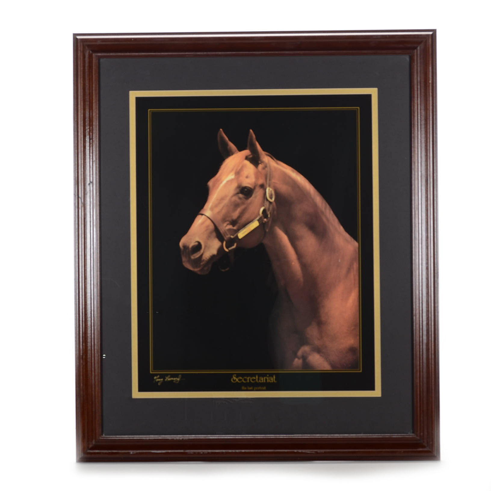 Tony Leonard Offset Lithograph after "Secretariat - His Last Portrait ...