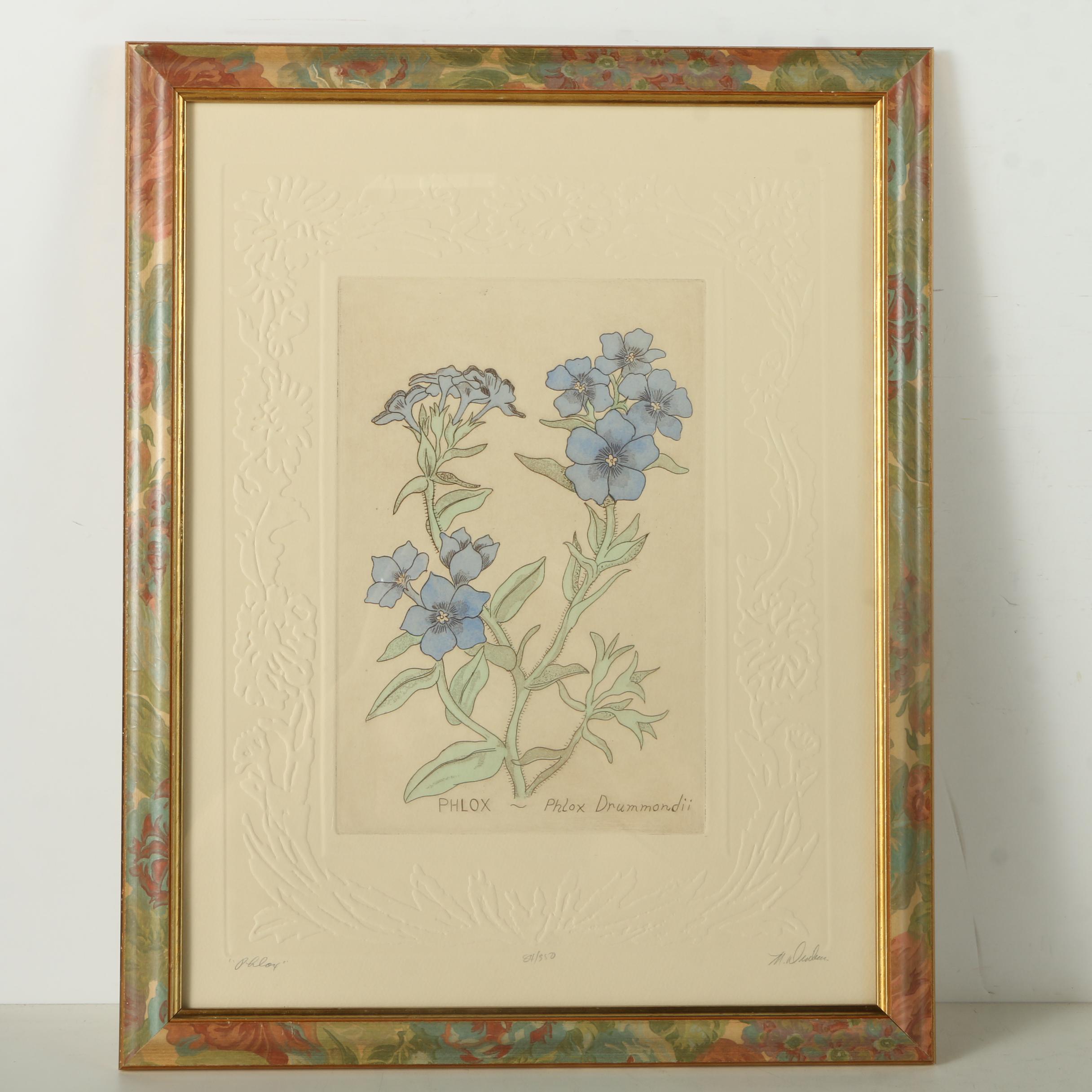 Limited Edition Hand Colored Etchings with Embossment "Phlox" and ...