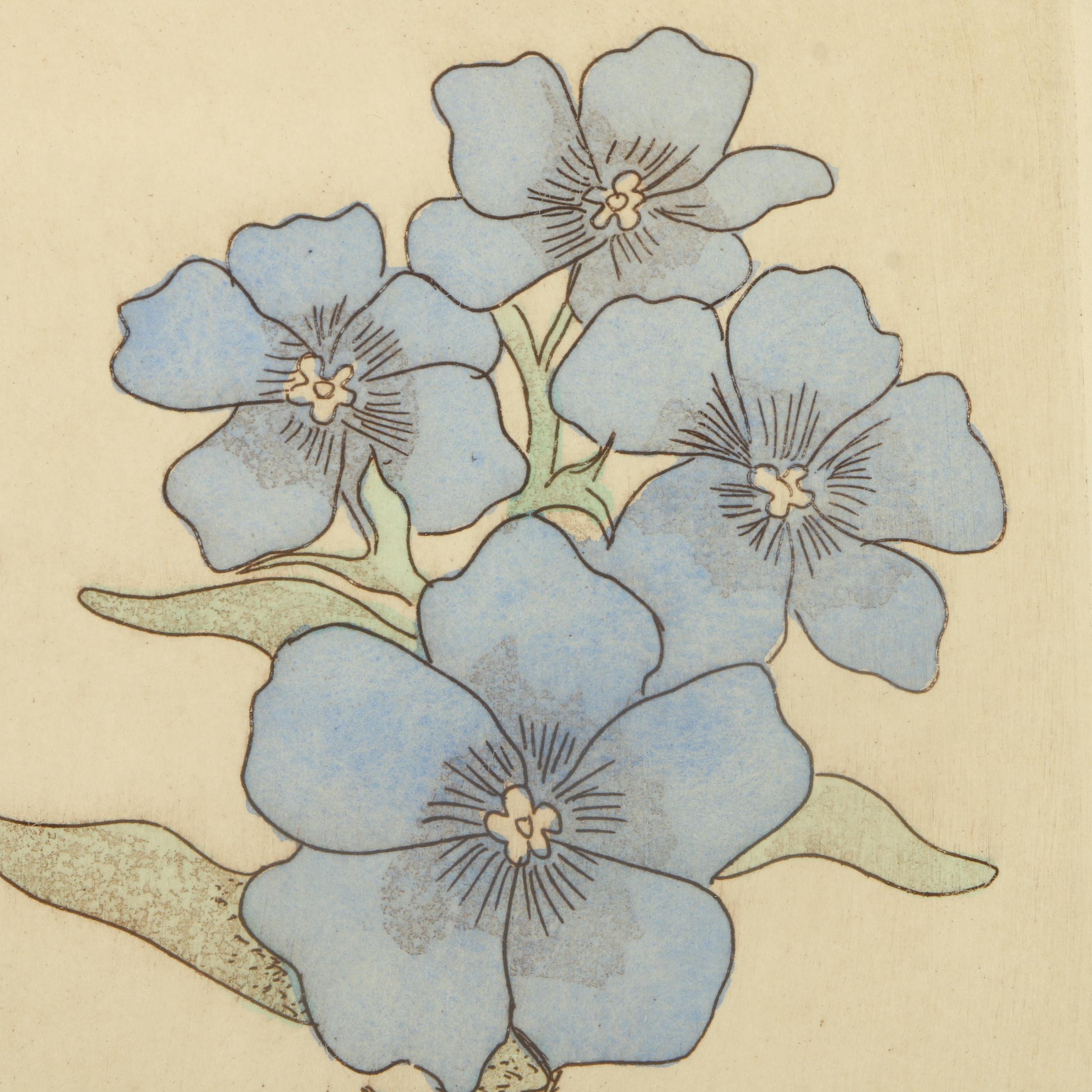 Limited Edition Hand Colored Etchings with Embossment "Phlox" and ...