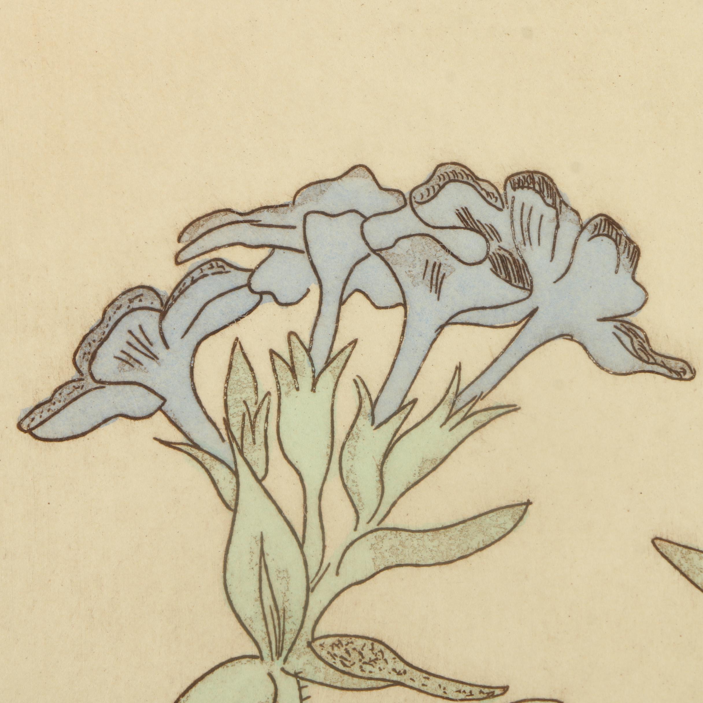 Limited Edition Hand Colored Etchings with Embossment "Phlox" and ...