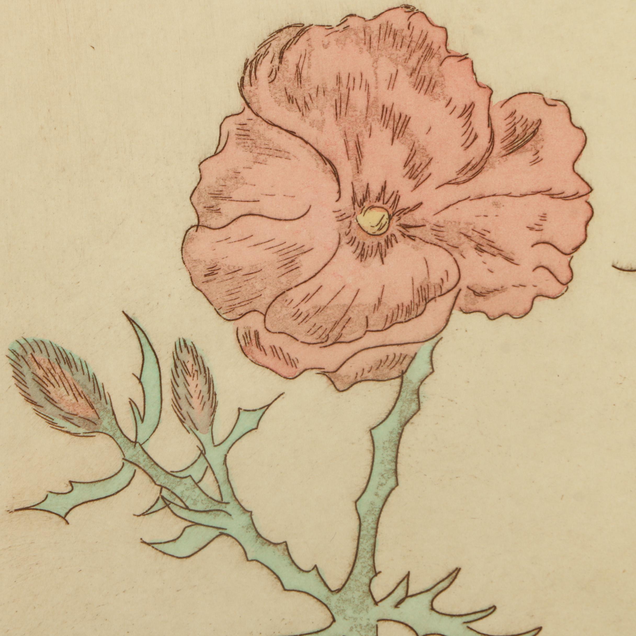 Limited Edition Hand Colored Etchings with Embossment "Phlox" and ...