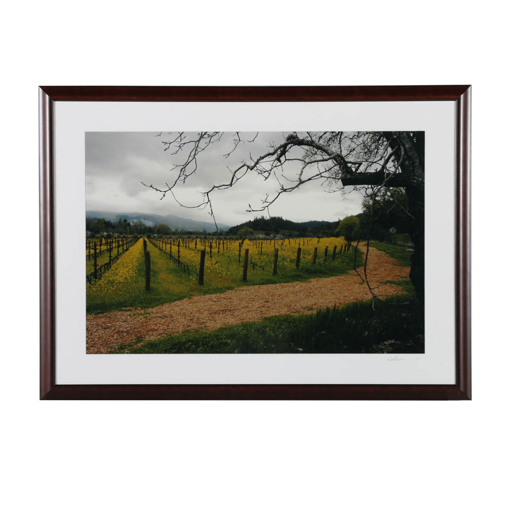 Ed Behrens Digital Photograph of a Vineyard | EBTH