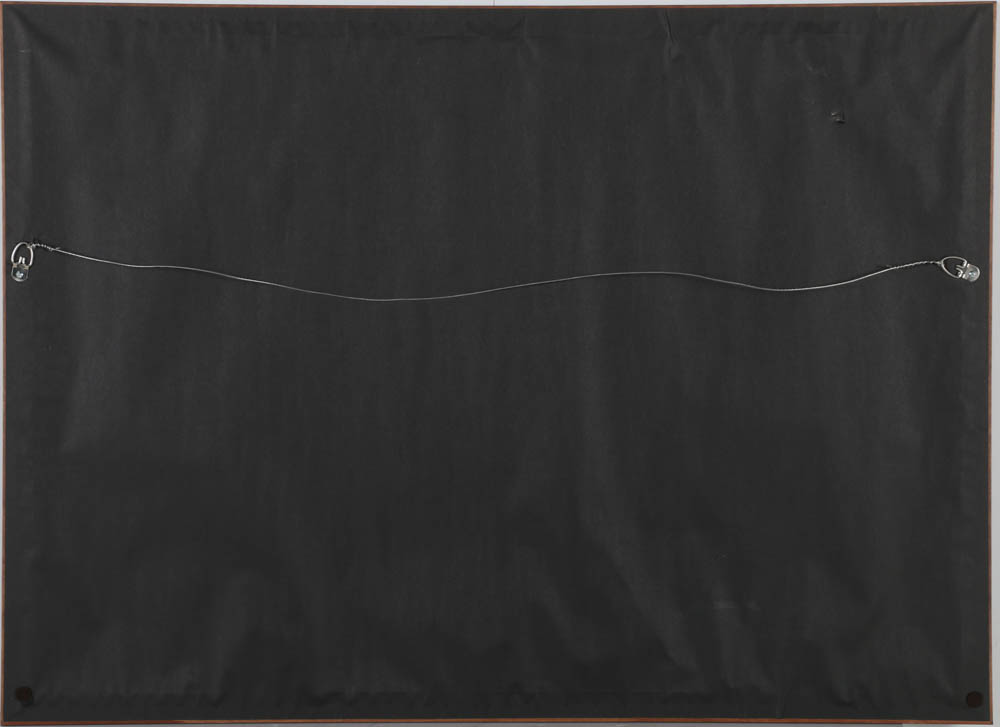 Ed Behrens Digital Photograph of a Vineyard | EBTH