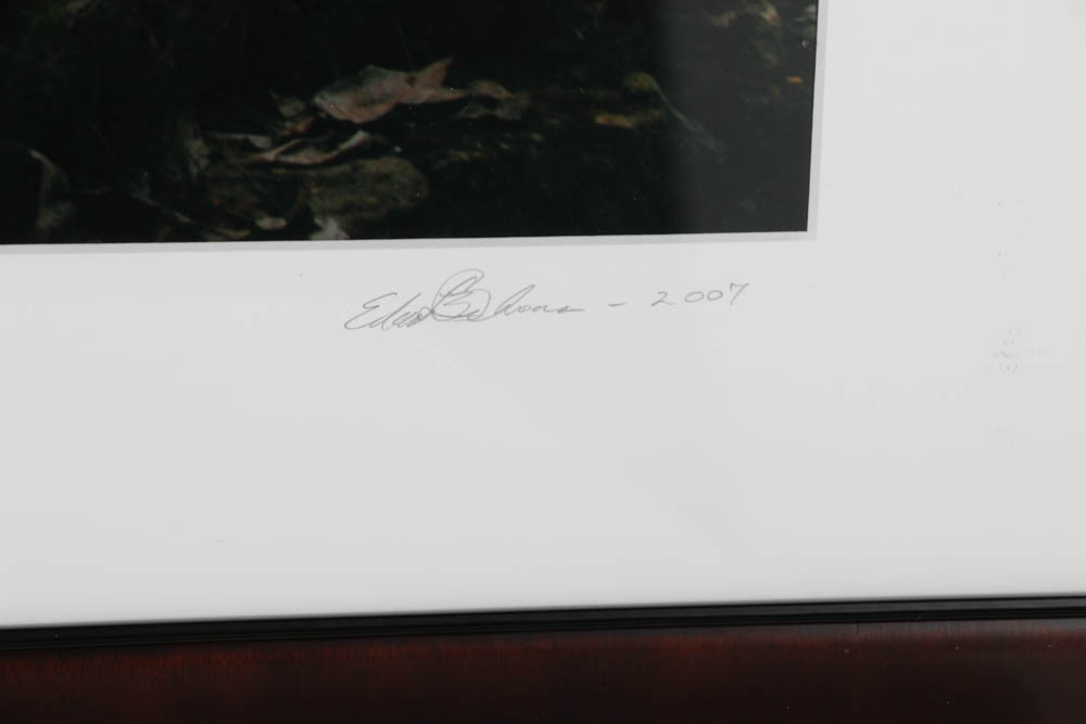 Ed Behrens Digital Photograph of a Vineyard | EBTH