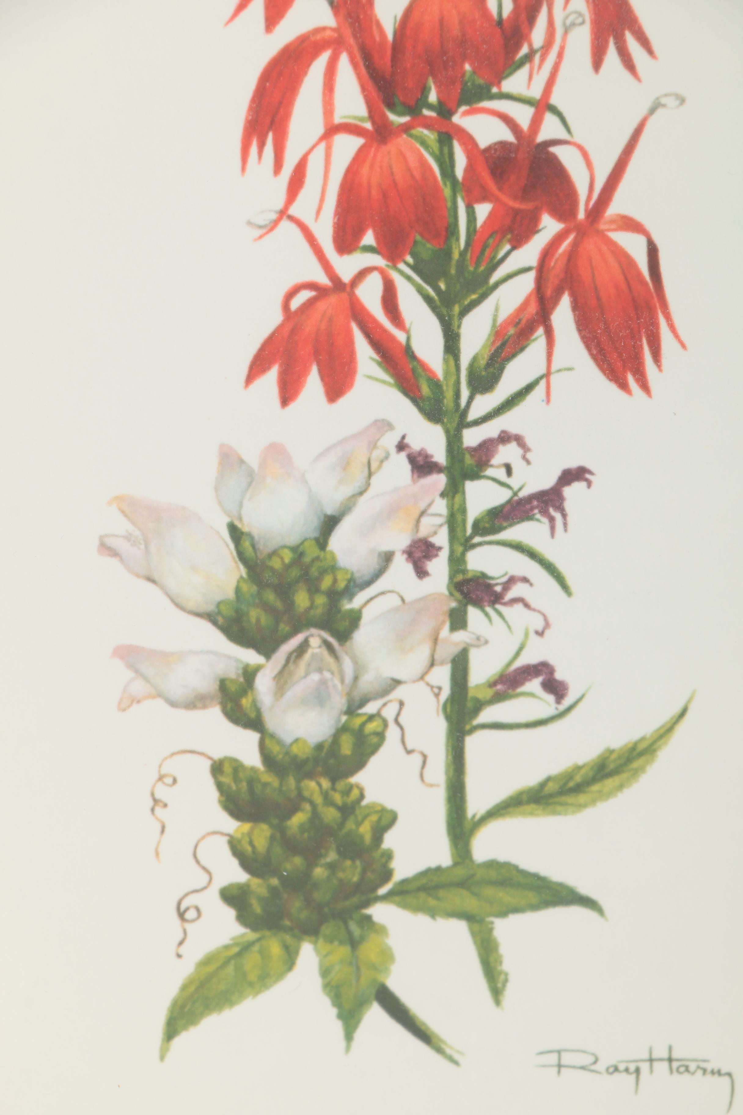 Offset Lithographs After Ray Harm "Late Summer and Fall Wildflowers" | EBTH