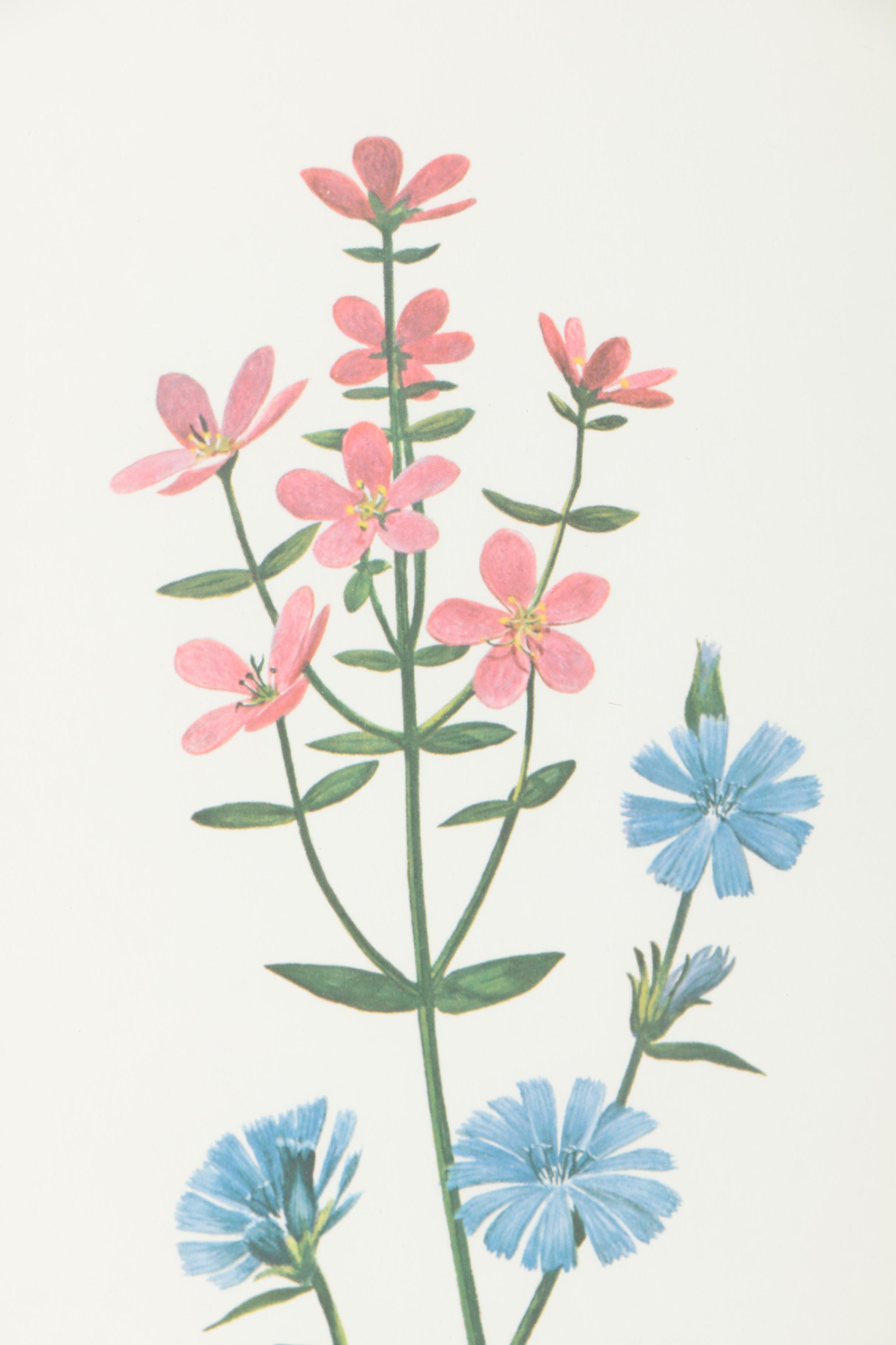 Offset Lithographs After Ray Harm "Late Summer and Fall Wildflowers" | EBTH