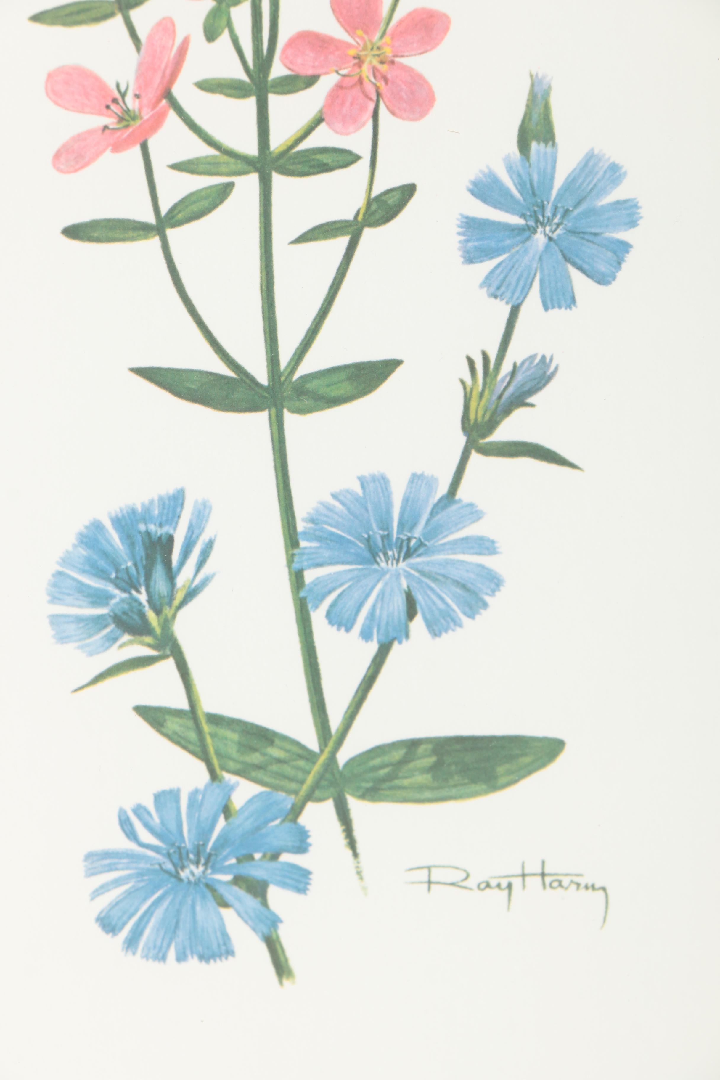 Offset Lithographs After Ray Harm "Late Summer and Fall Wildflowers" | EBTH