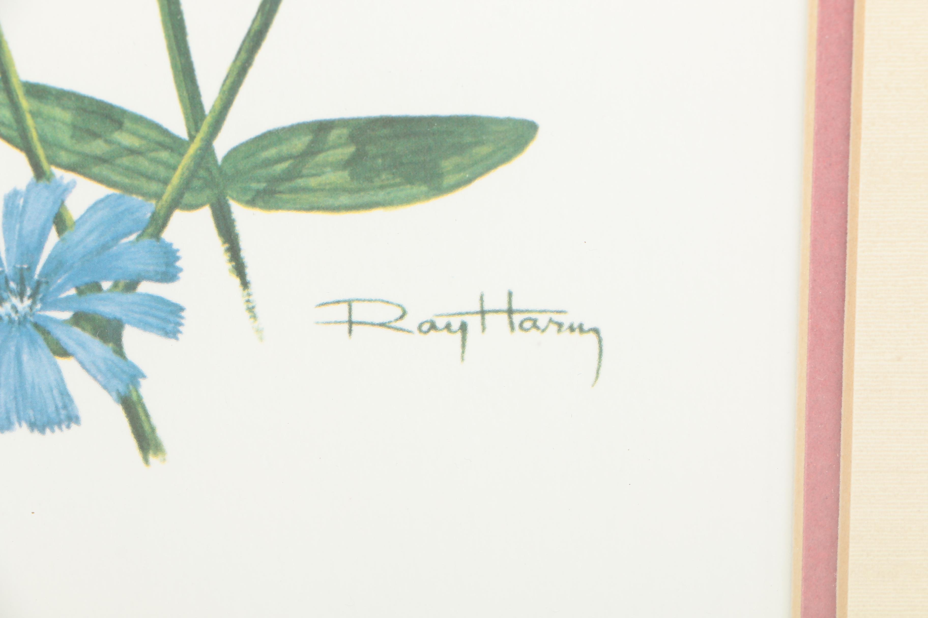 Offset Lithographs After Ray Harm "Late Summer and Fall Wildflowers" | EBTH