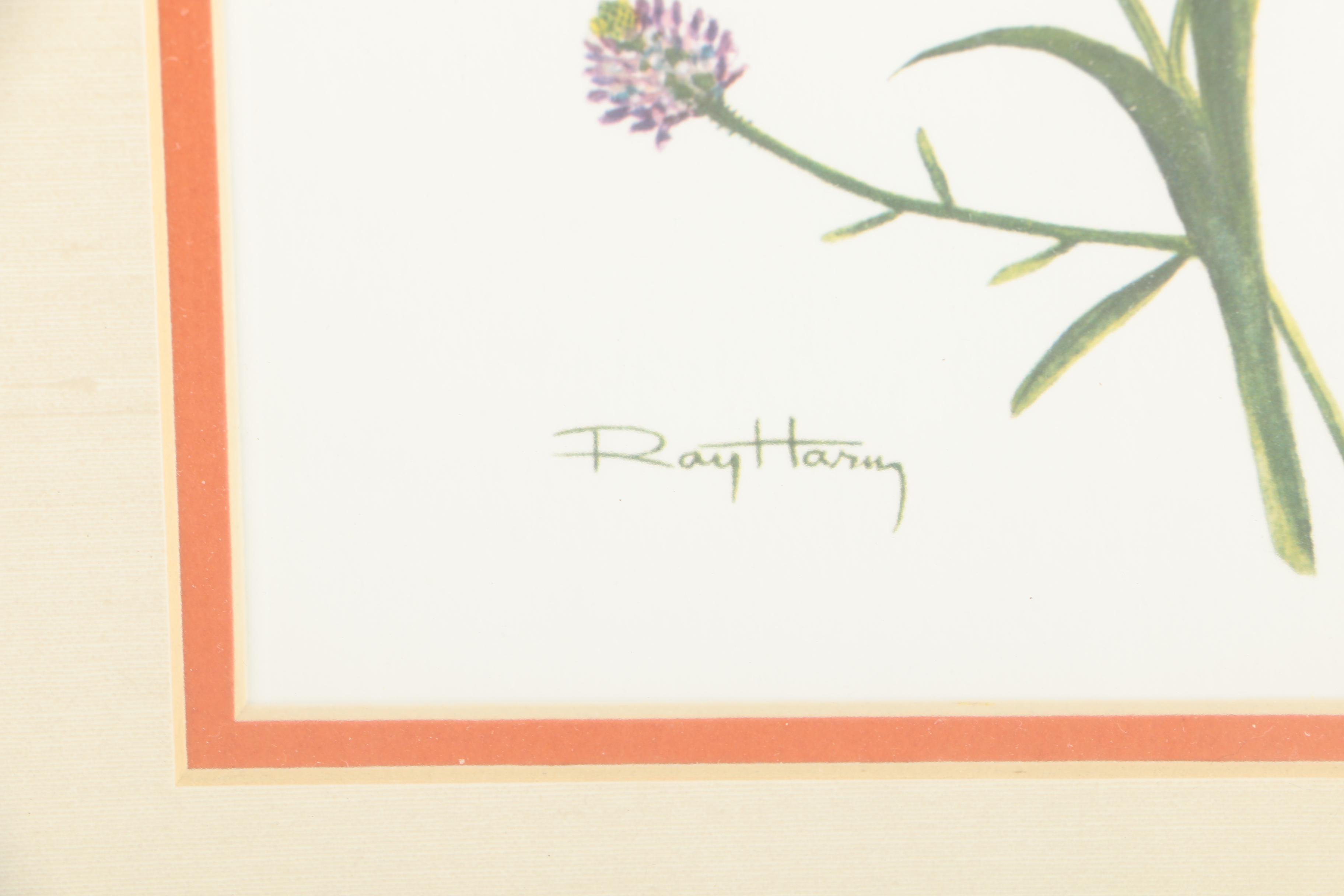 Offset Lithographs After Ray Harm "Late Summer and Fall Wildflowers" | EBTH