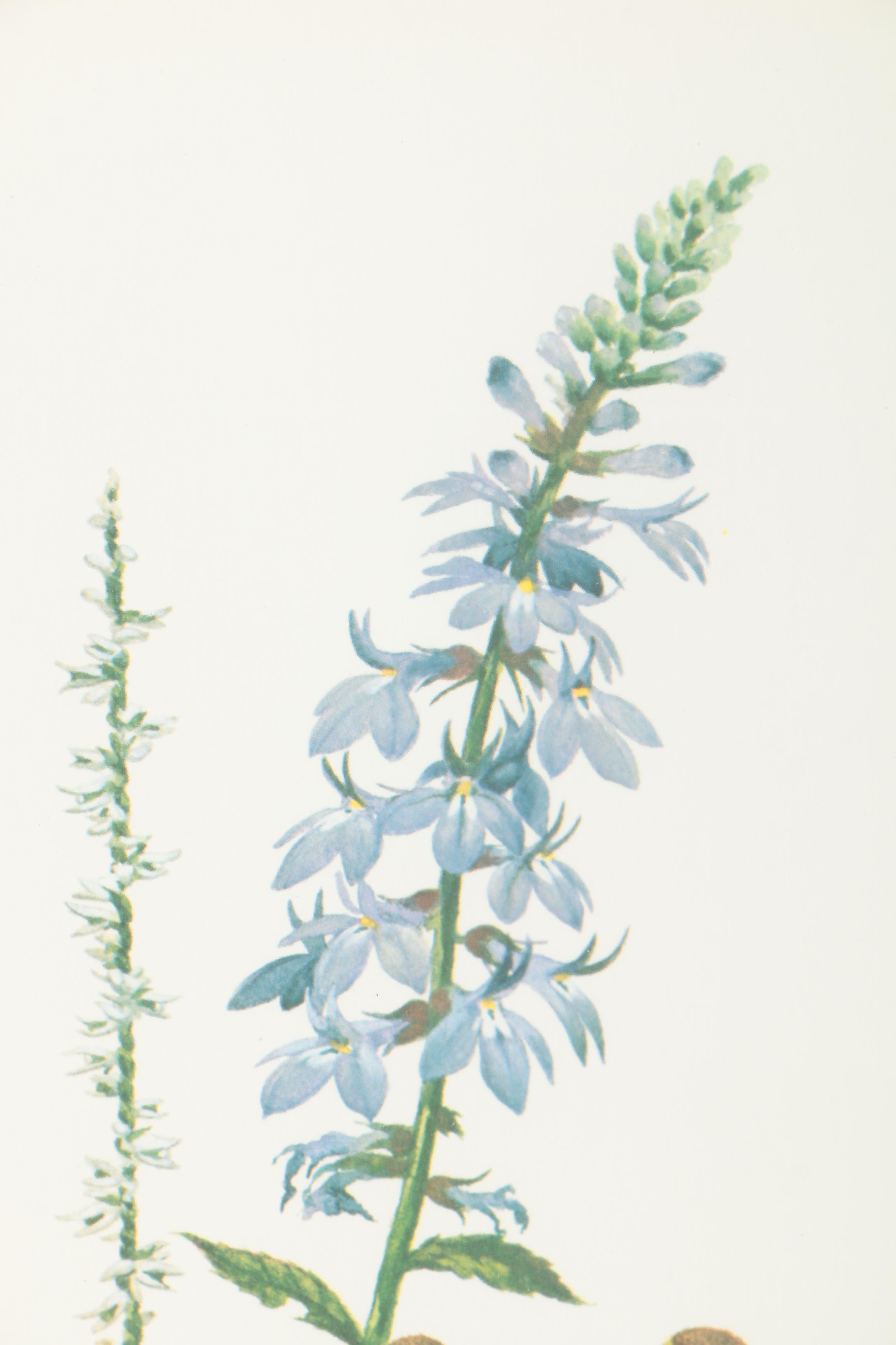 Offset Lithographs After Ray Harm "Late Summer and Fall Wildflowers" | EBTH