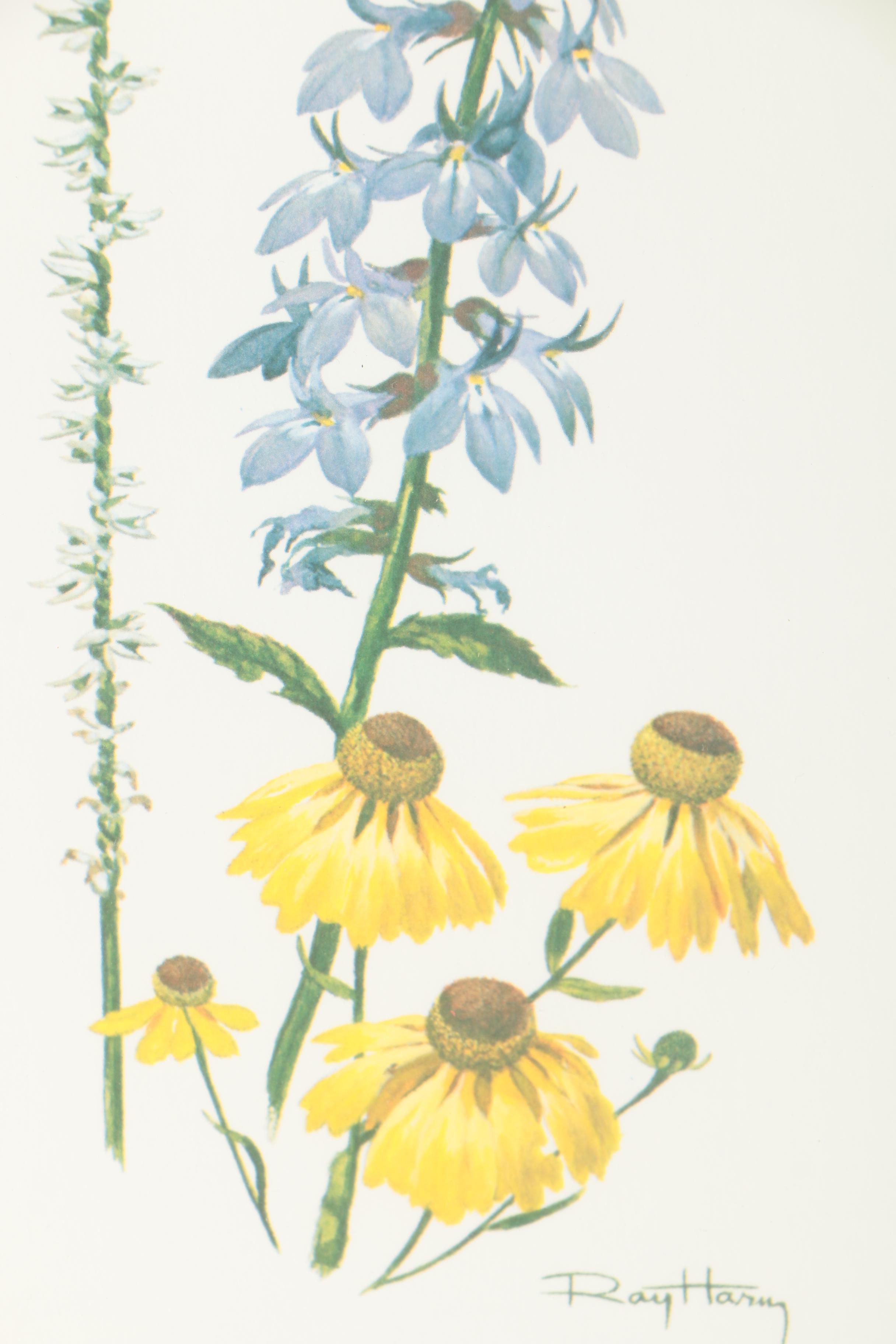 Offset Lithographs After Ray Harm "Late Summer and Fall Wildflowers" | EBTH