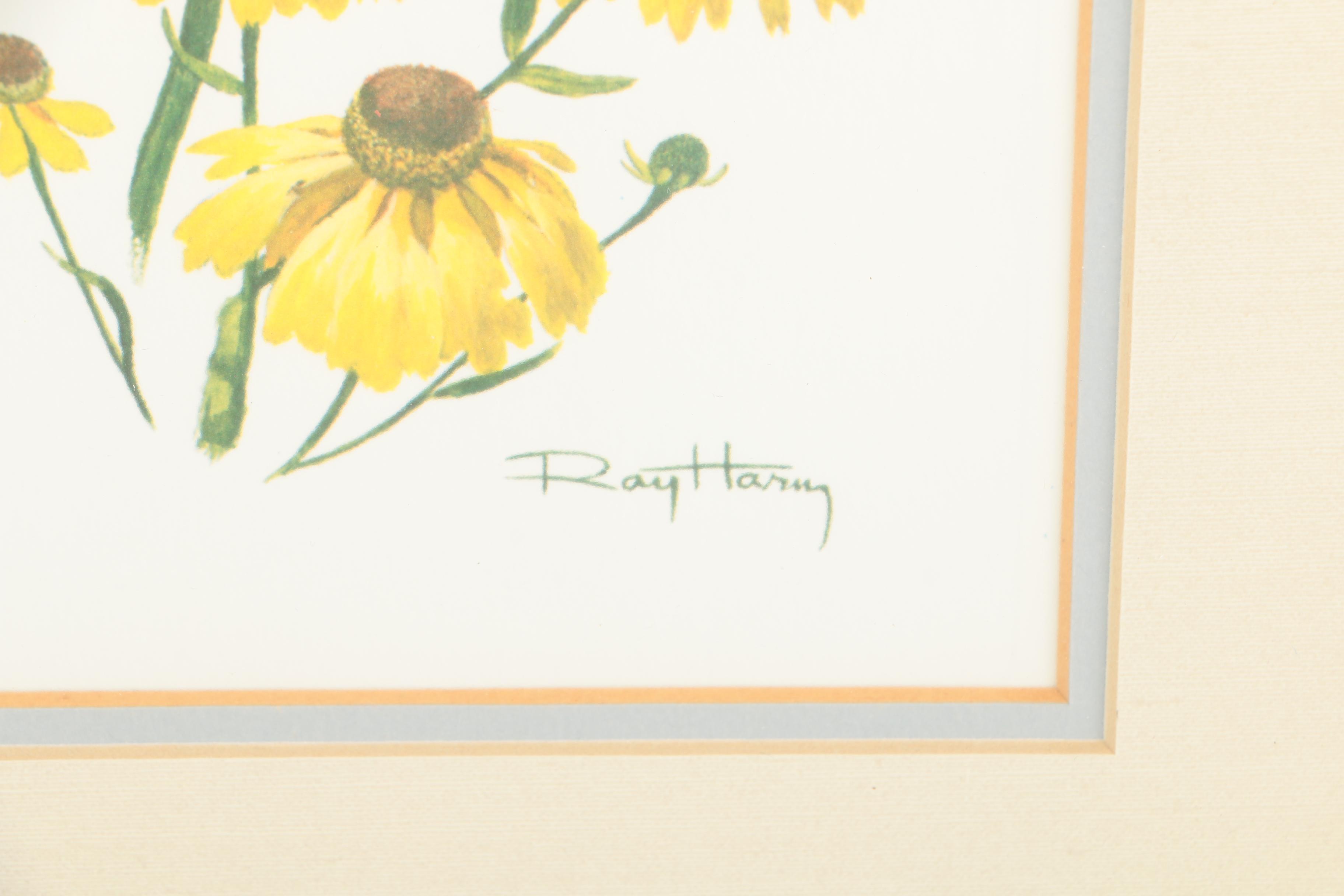 Offset Lithographs After Ray Harm "Late Summer and Fall Wildflowers" | EBTH