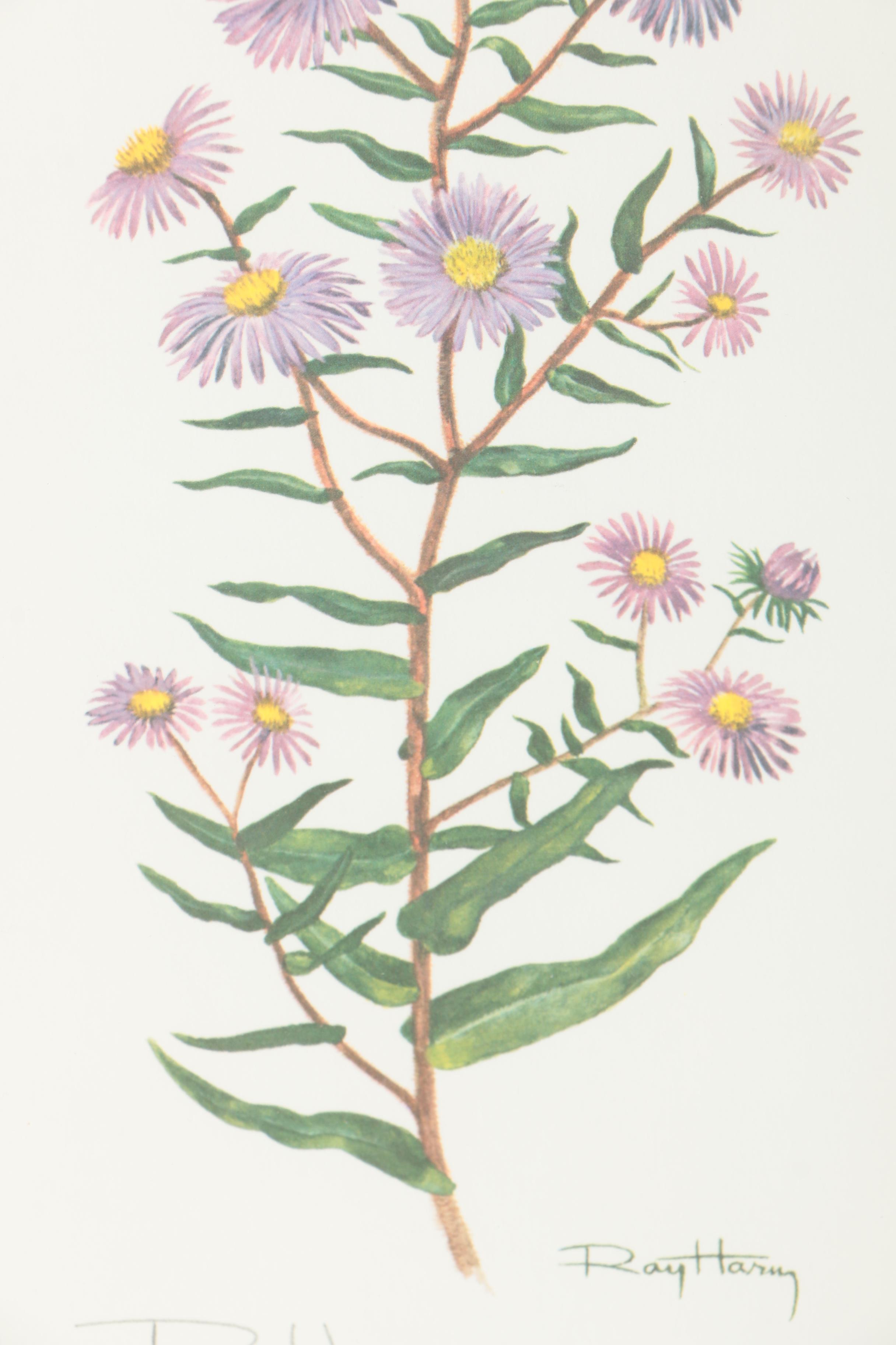 Offset Lithographs After Ray Harm "Late Summer and Fall Wildflowers" | EBTH