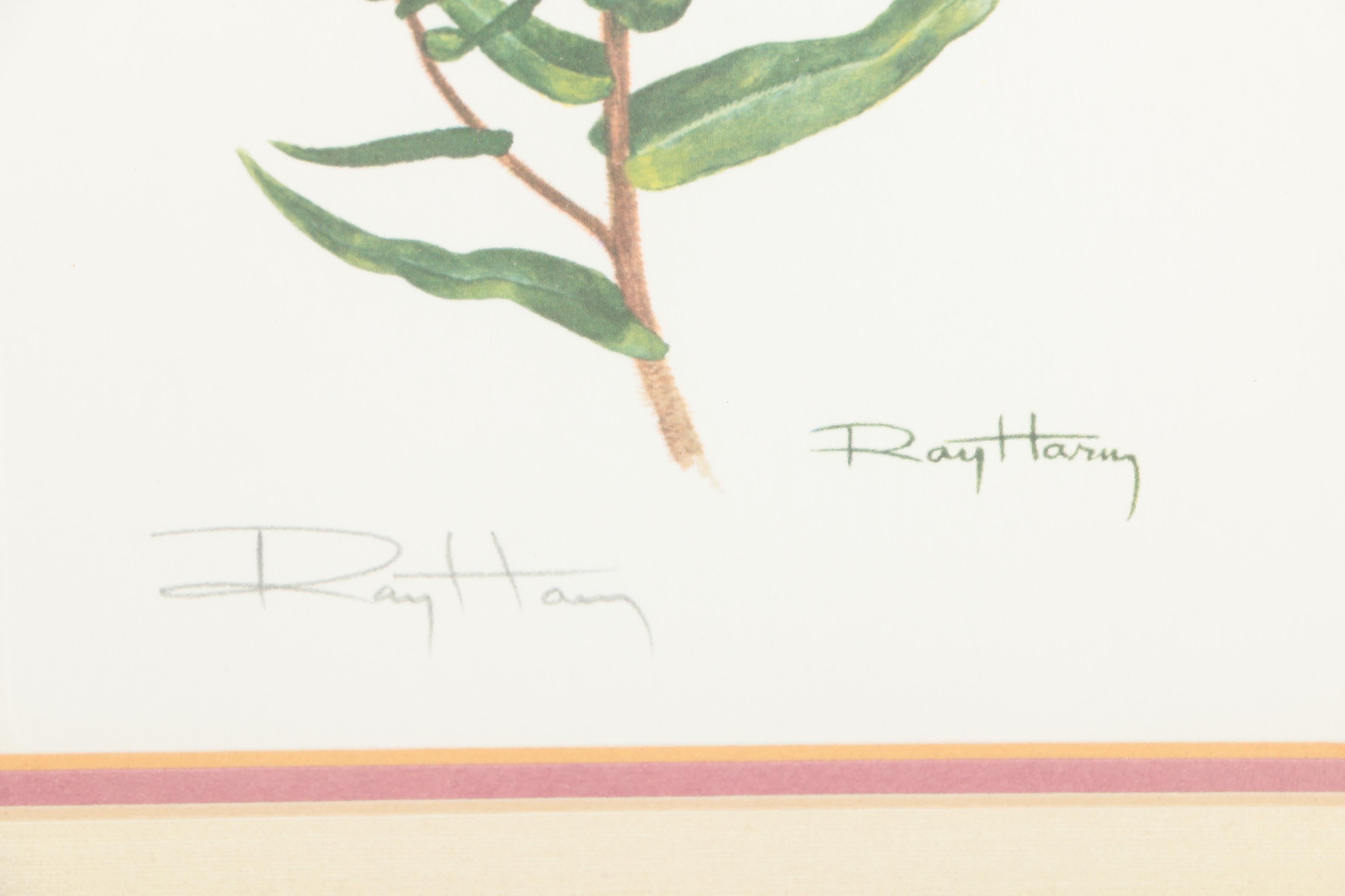 Offset Lithographs After Ray Harm "Late Summer and Fall Wildflowers" | EBTH