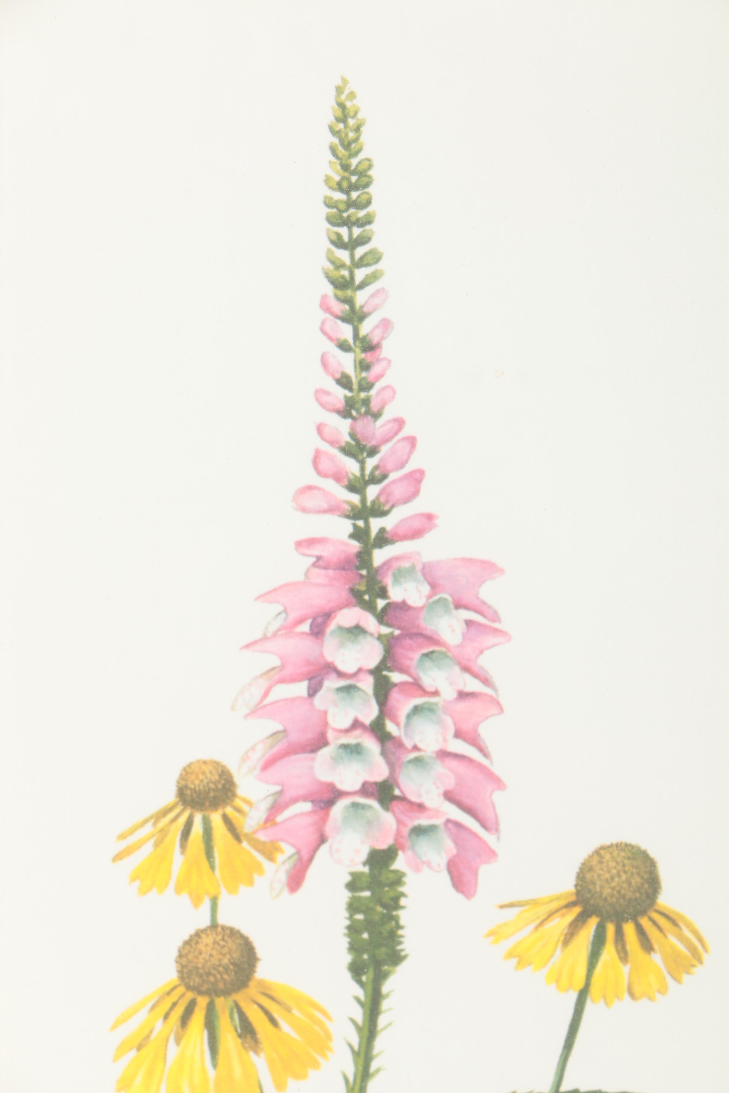 Offset Lithographs After Ray Harm "Late Summer and Fall Wildflowers" | EBTH