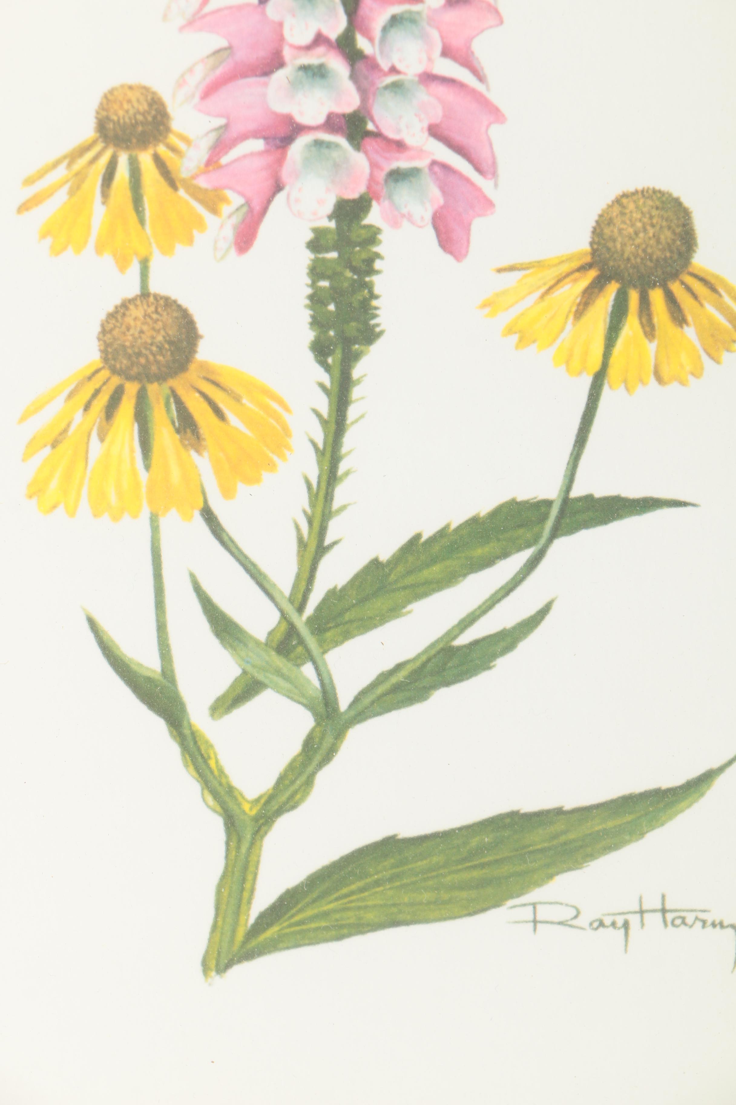 Offset Lithographs After Ray Harm "Late Summer and Fall Wildflowers" | EBTH
