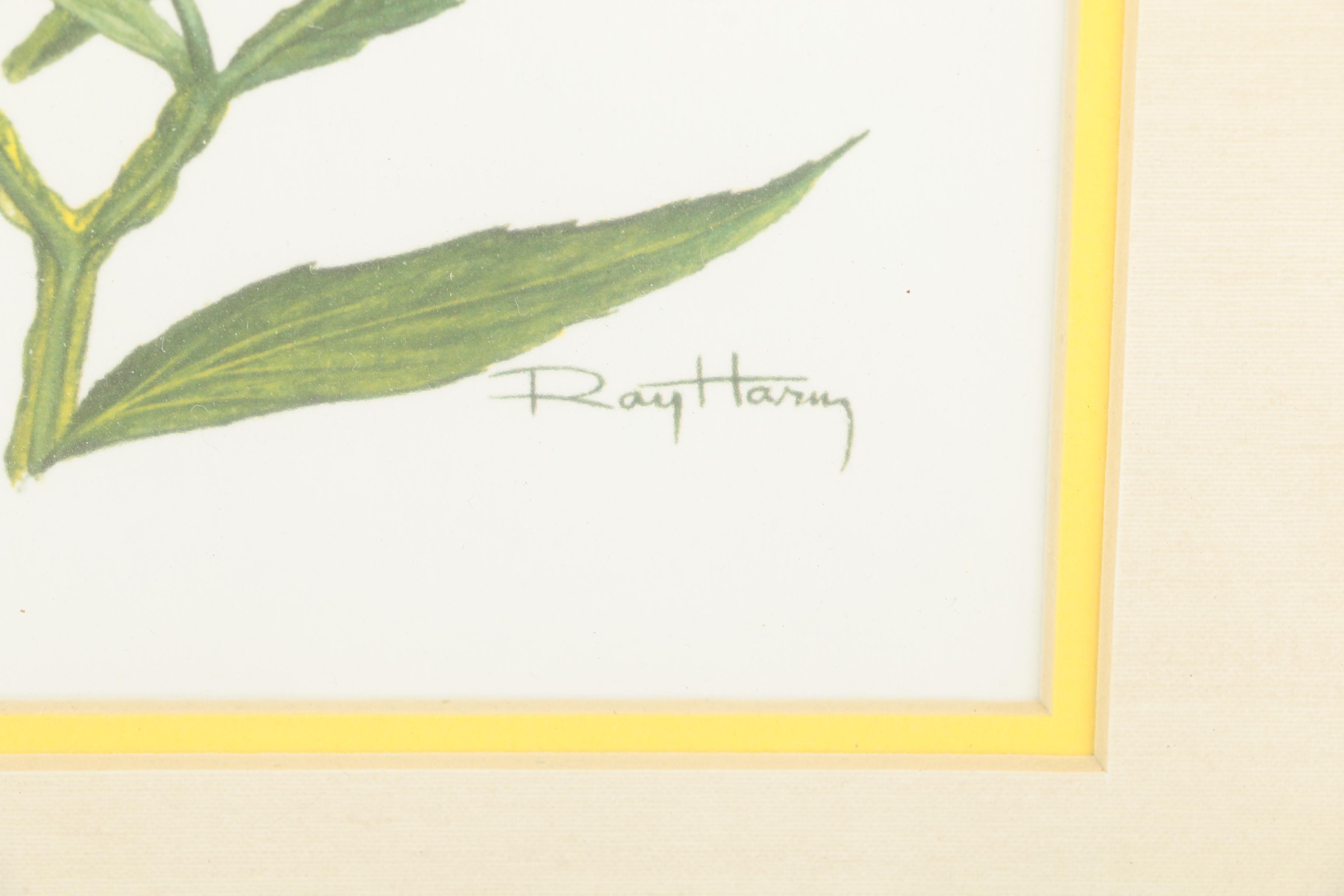 Offset Lithographs After Ray Harm "Late Summer and Fall Wildflowers" | EBTH