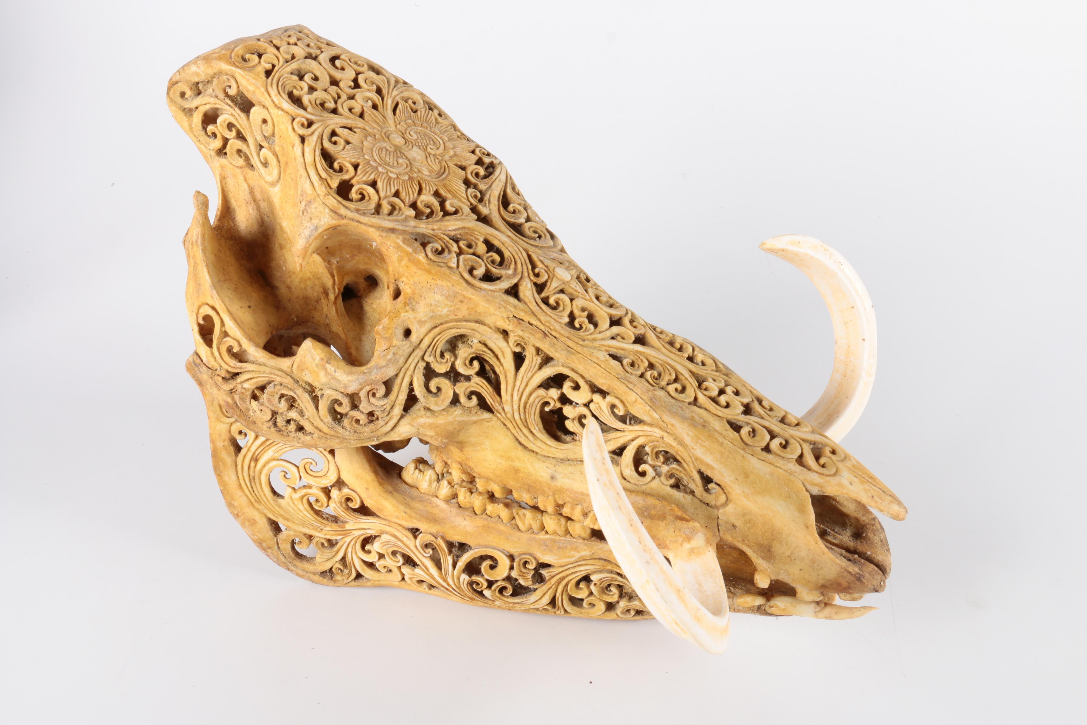 Carved Hog Skull | EBTH