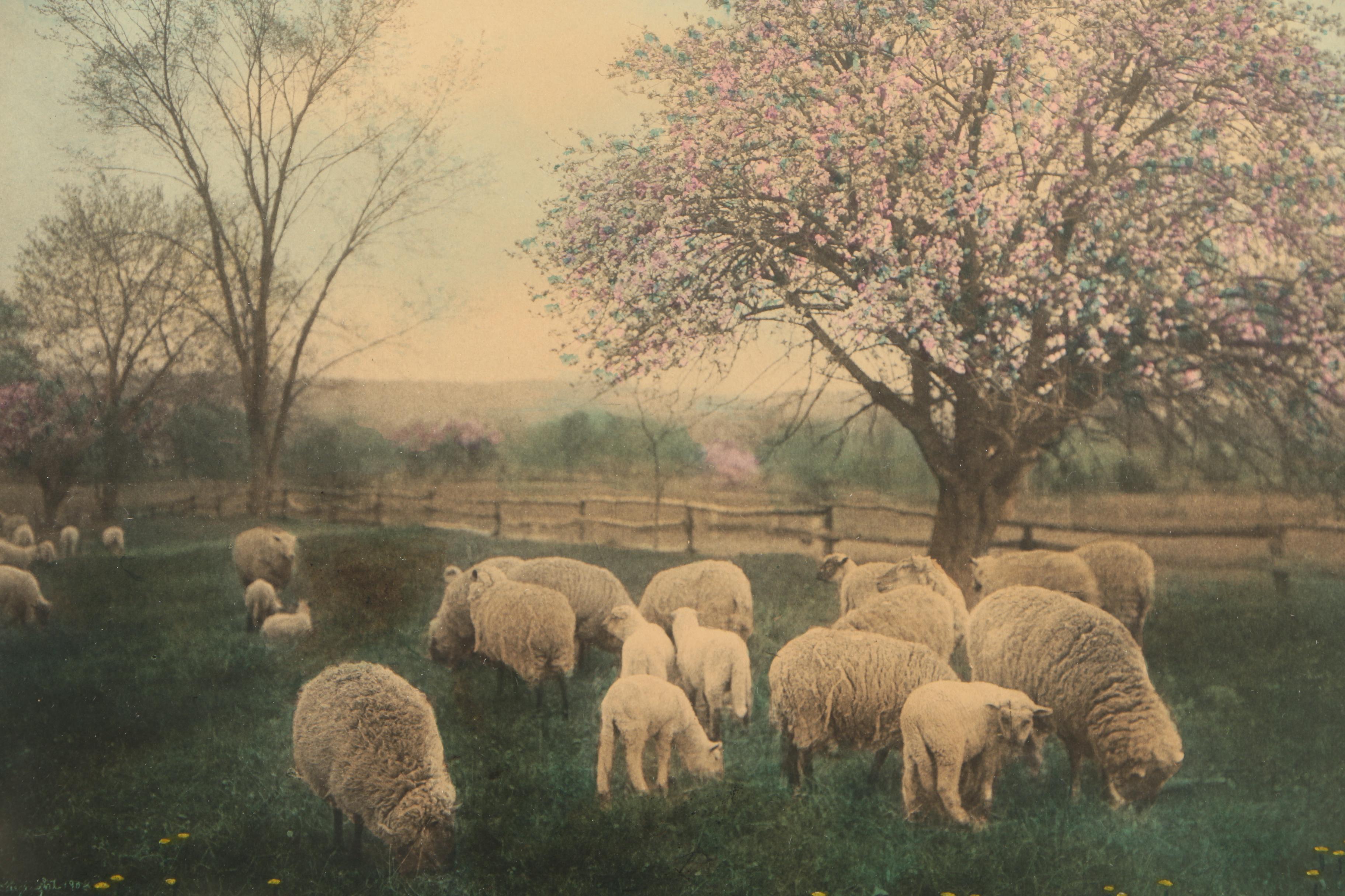 Wallace Nutting Hand-Colored Photograph "Under the Blossoms" | EBTH