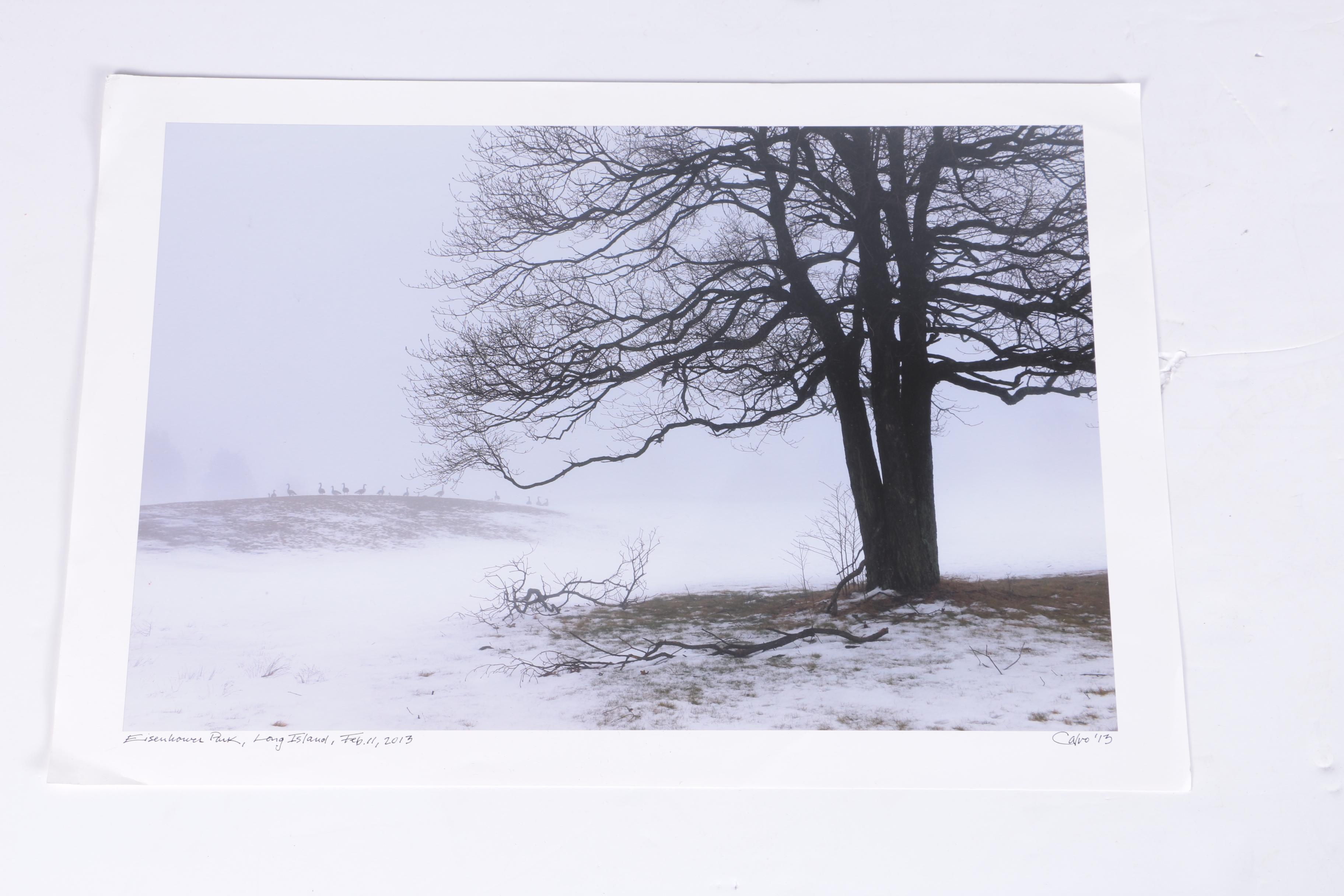 Richard Calvo Photographs of Outdoor Scenes | EBTH