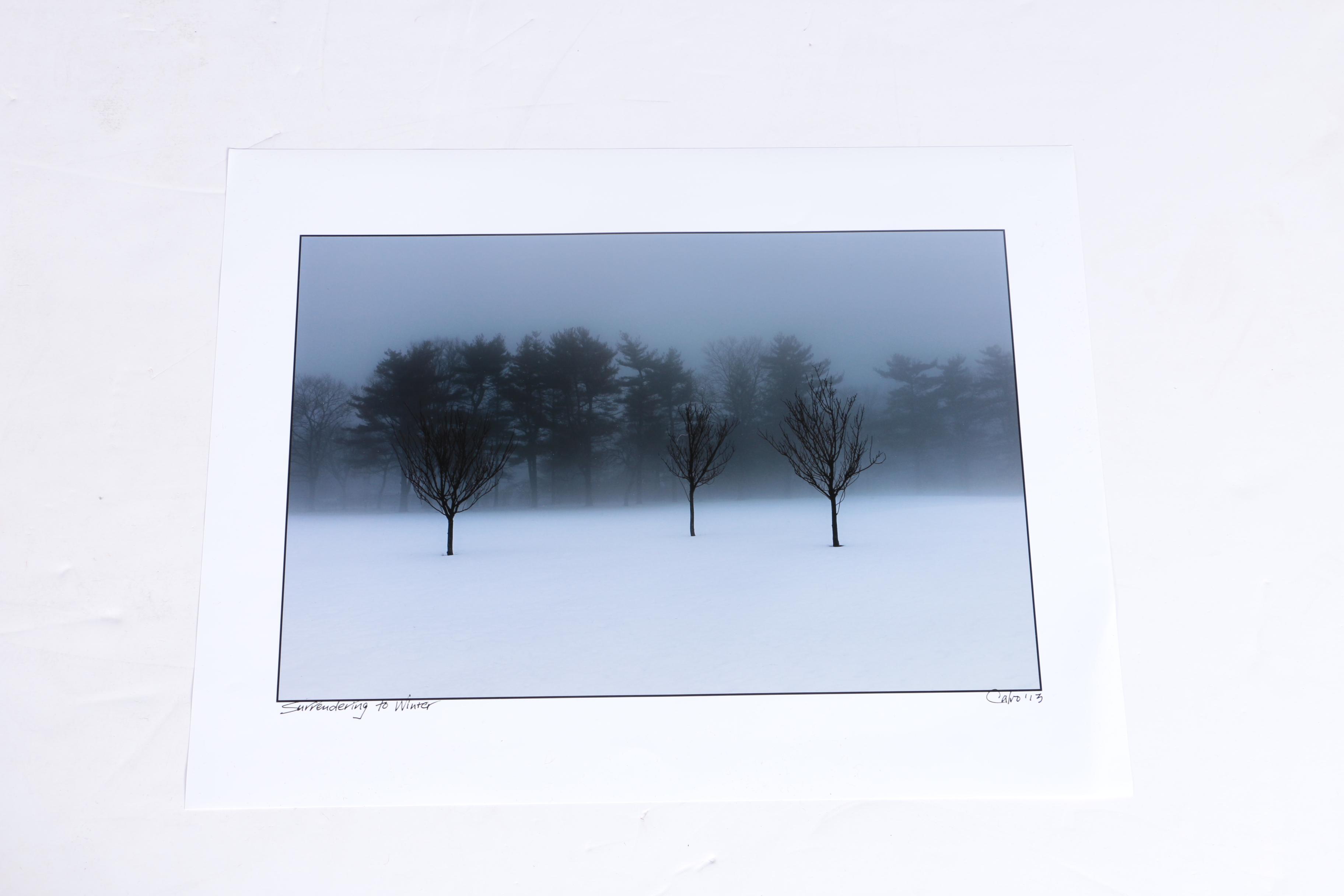 Richard Calvo Photographs of Outdoor Scenes | EBTH