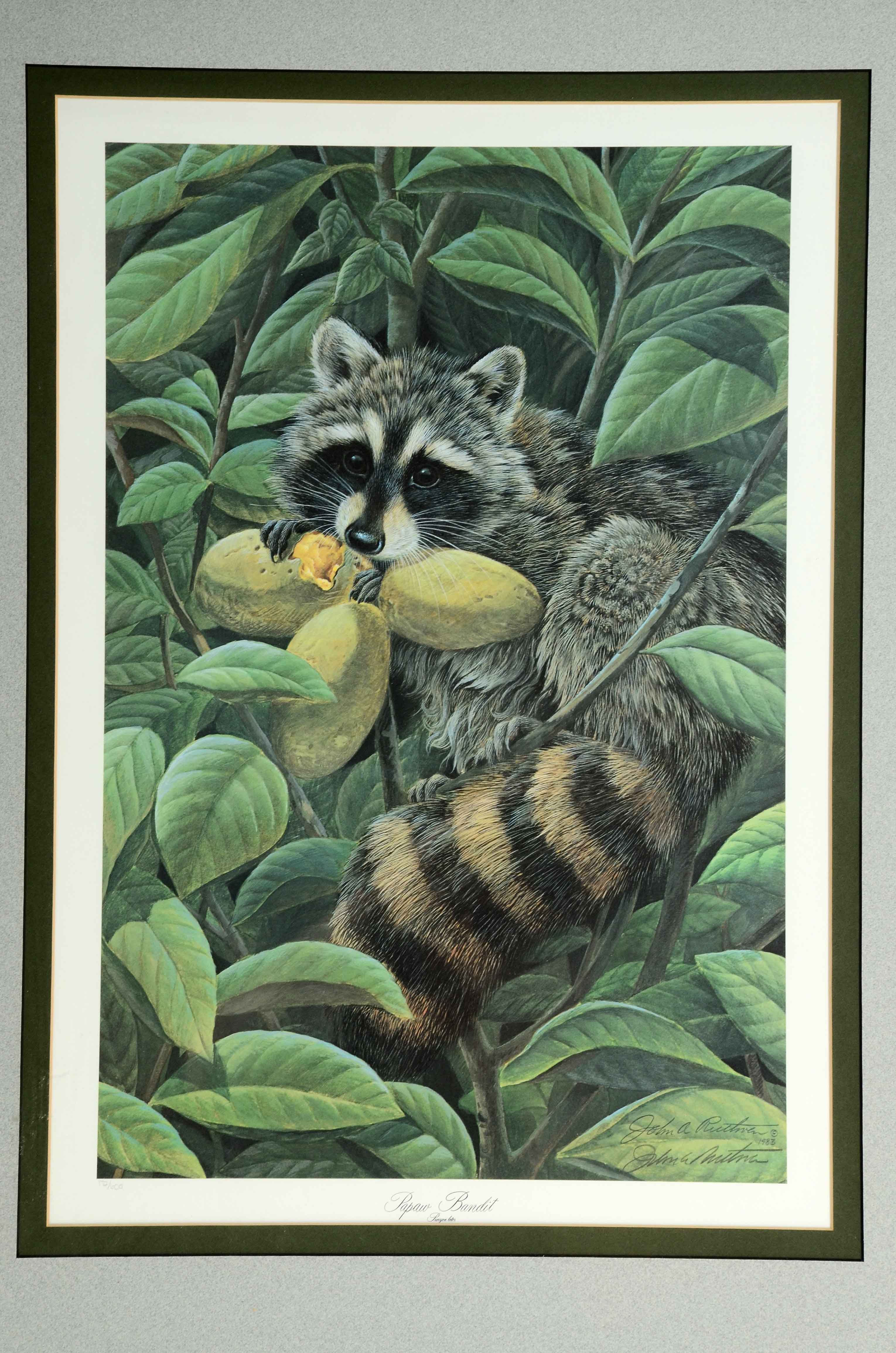 John Ruthven Limited Edition Offset Lithograph "Papaw Bandit" | EBTH