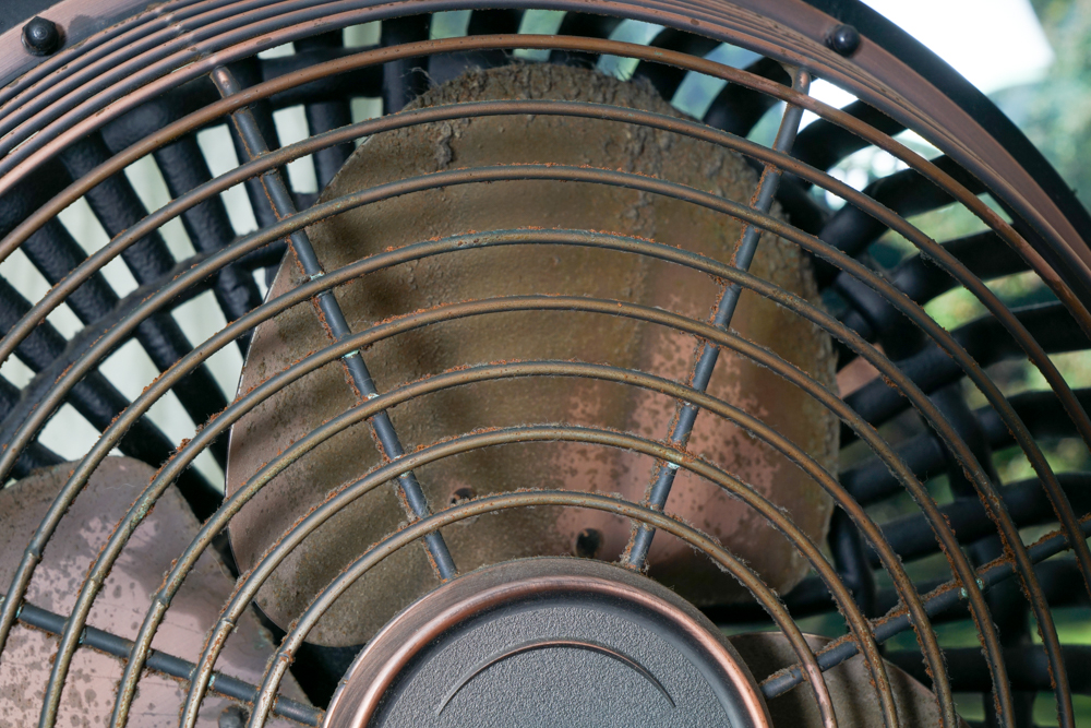 Fanimation "The Old Havana" Pedestal Fan | EBTH