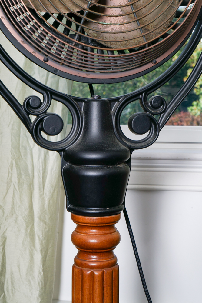 Fanimation "The Old Havana" Pedestal Fan | EBTH