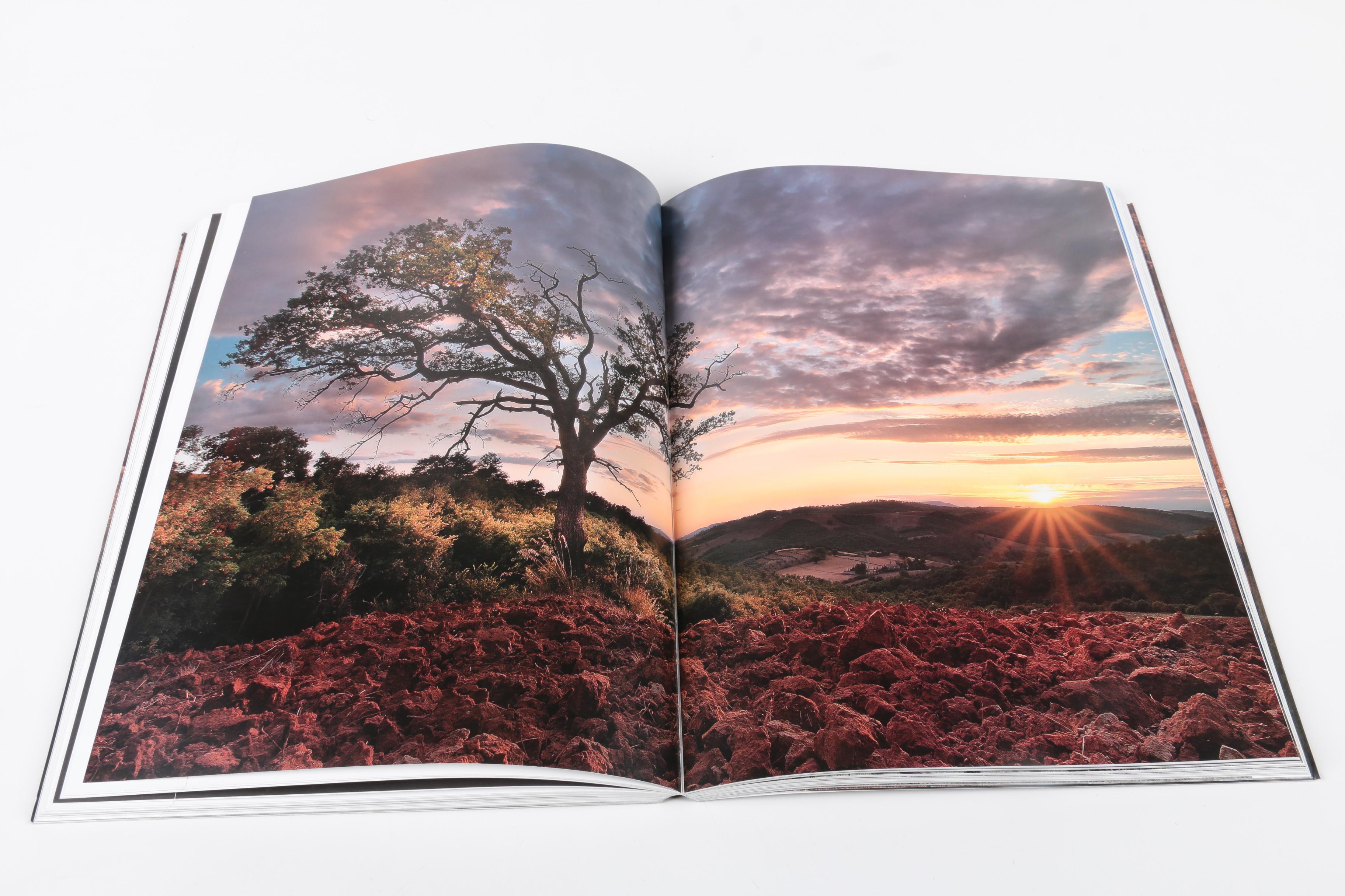 Books on Italian Design | EBTH