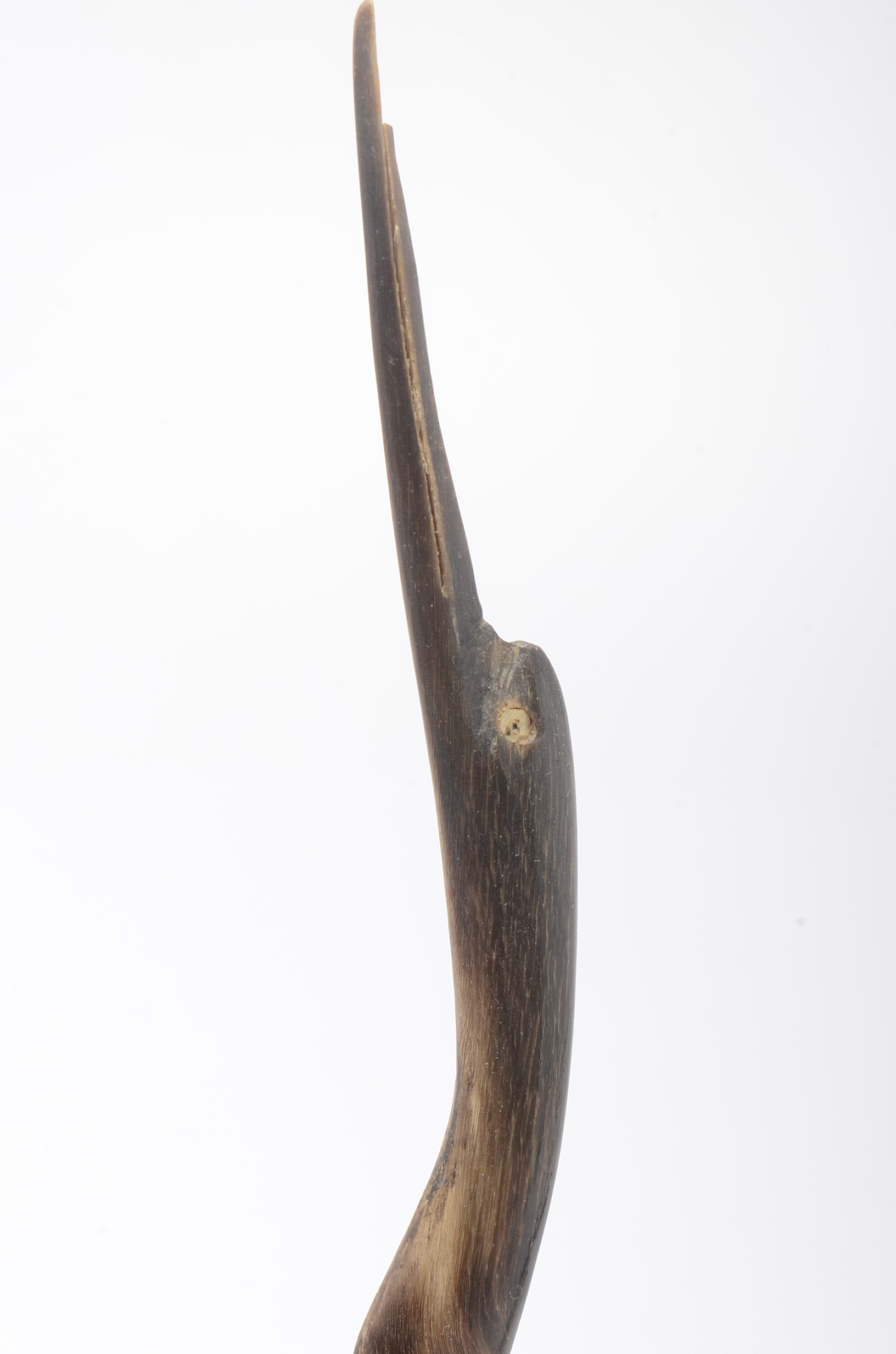 Carved Horn Bird Sculptures | EBTH