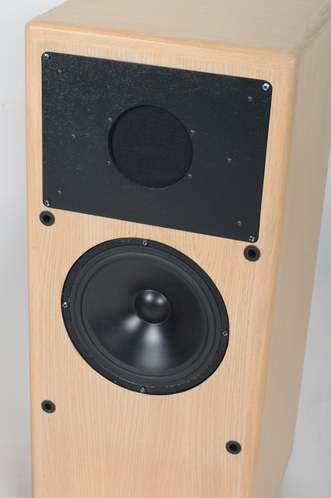 Kit-Constructed Speakers with ScanSpeak Woofers | EBTH