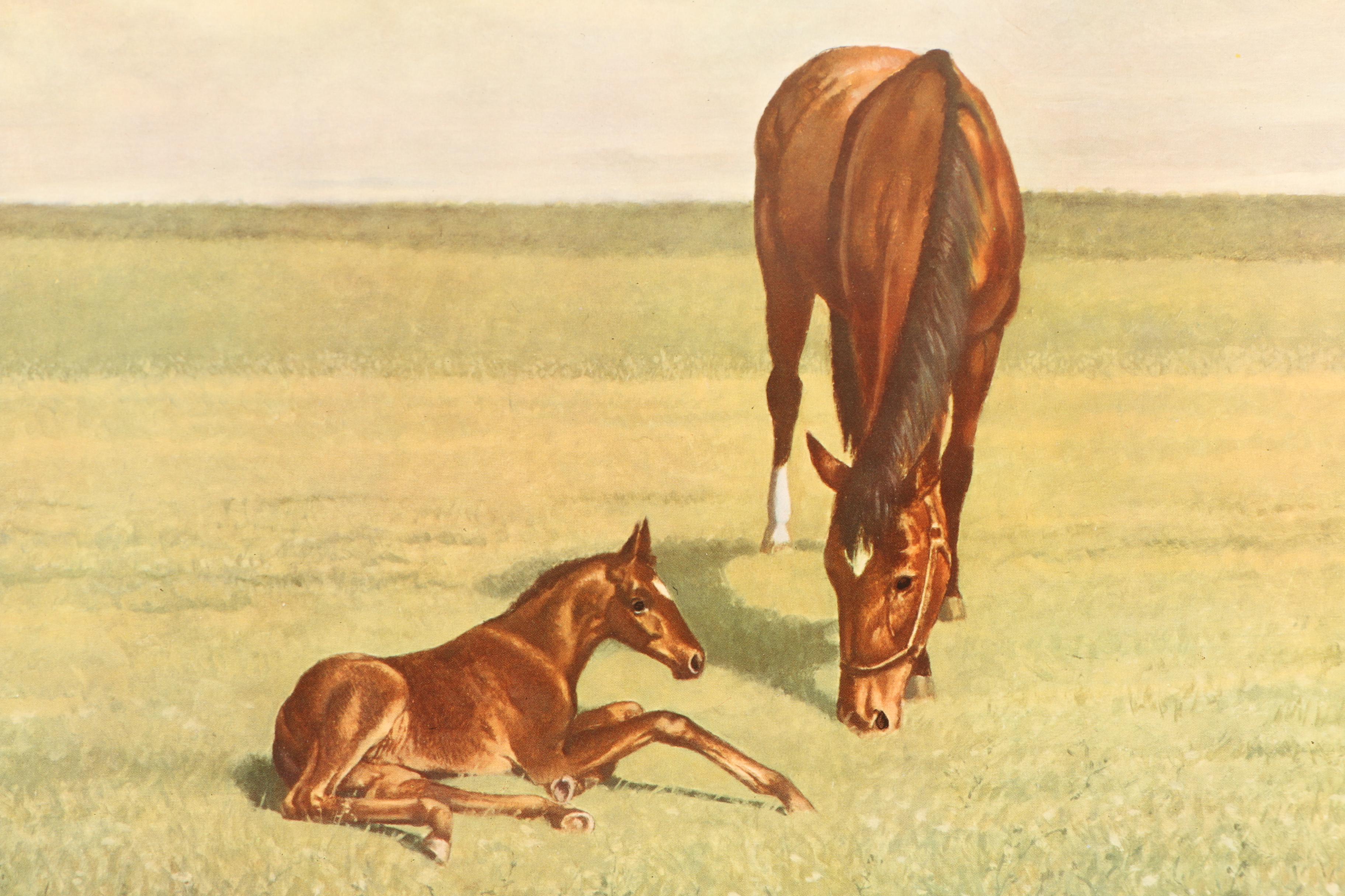 Reproduction Prints After C.W. Anderson "The World of Horses" | EBTH