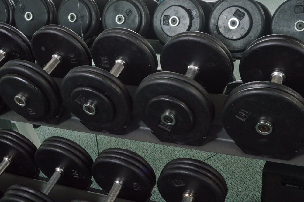 Hoist Fitness system, 2 tier dumbbell rack, 16 piece system | EBTH