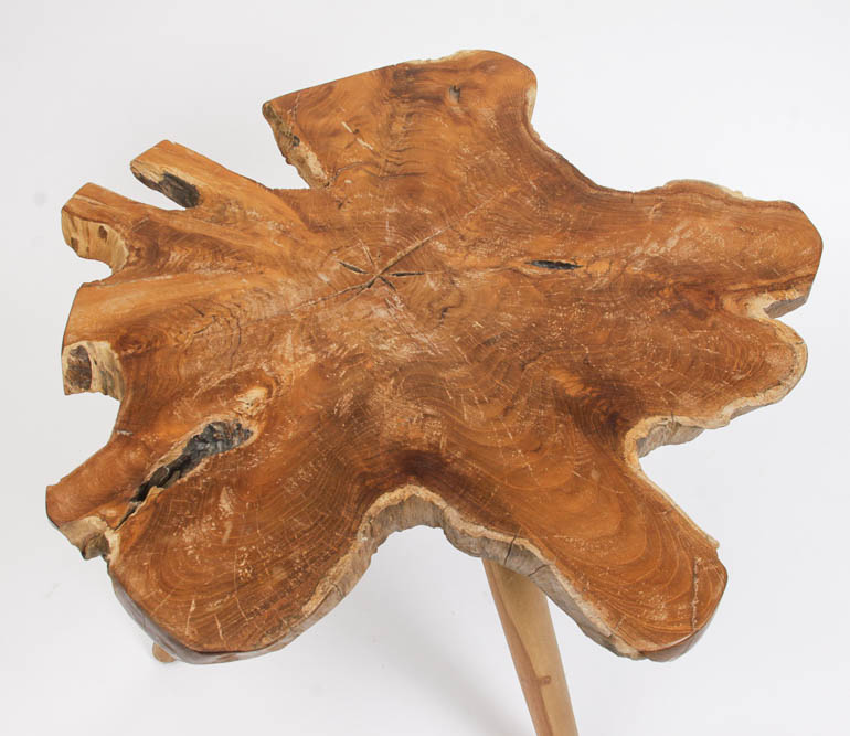 Tree Trunk Slab Side Table | EBTH