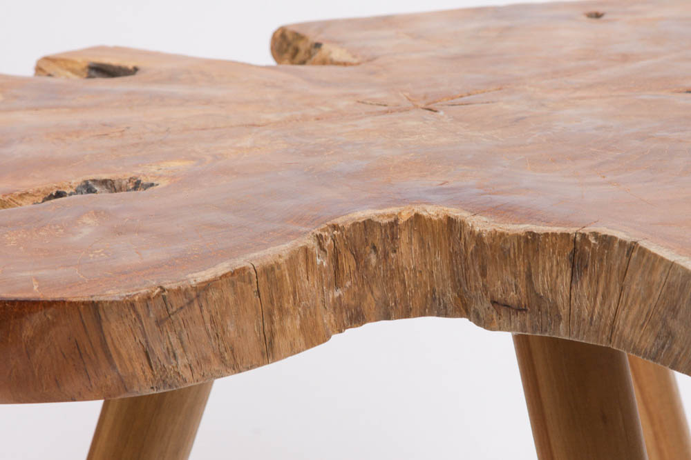 Tree Trunk Slab Side Table | EBTH
