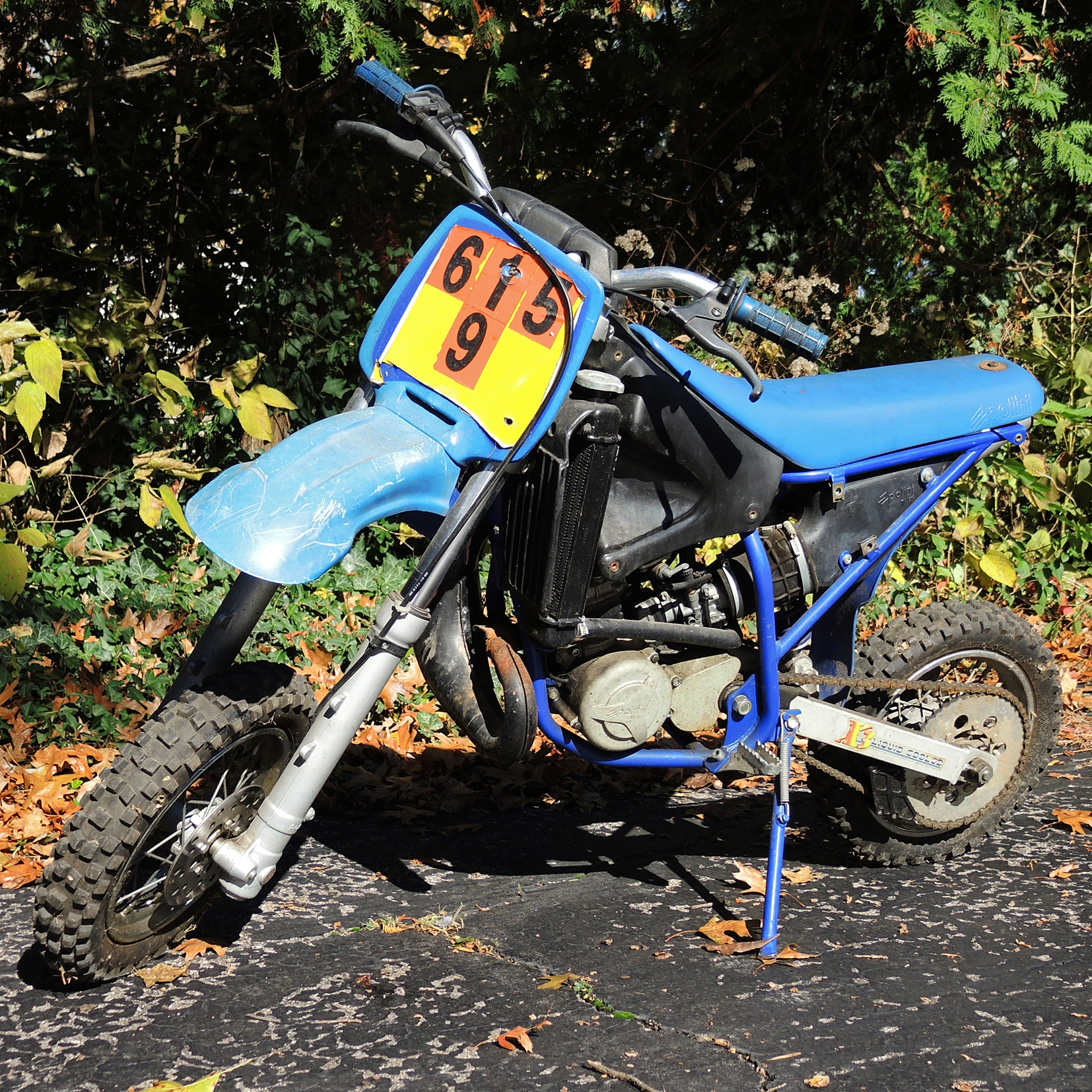 Polini 49CC Minicross X3 Motorcycle | EBTH